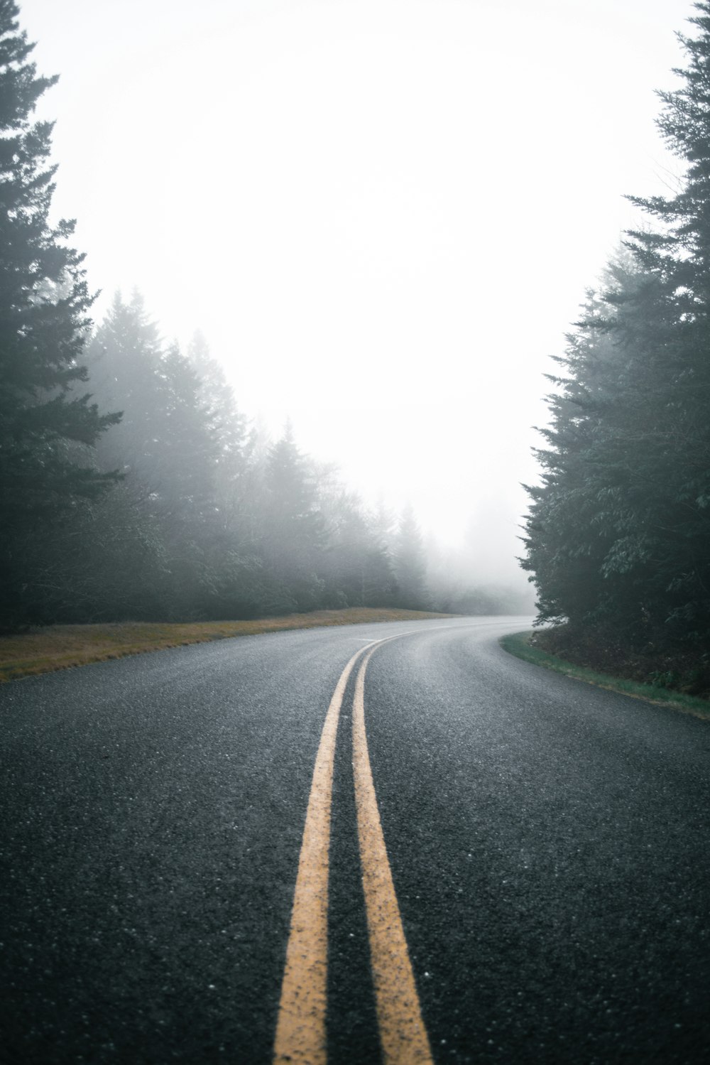 Fog Road Wallpapers - Wallpaper Cave