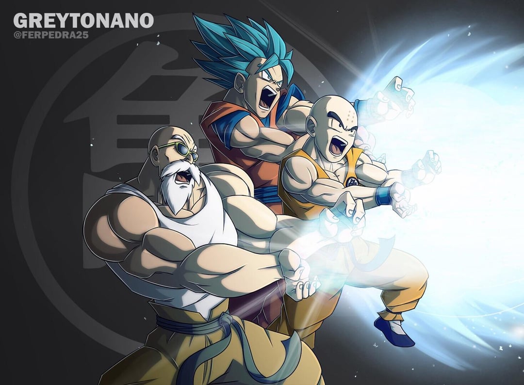 Turtle Hermit Wallpapers - Wallpaper Cave