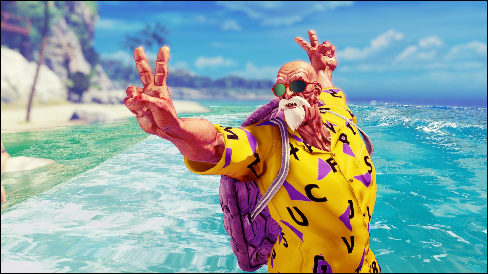 Turtle Hermit Wallpapers - Wallpaper Cave