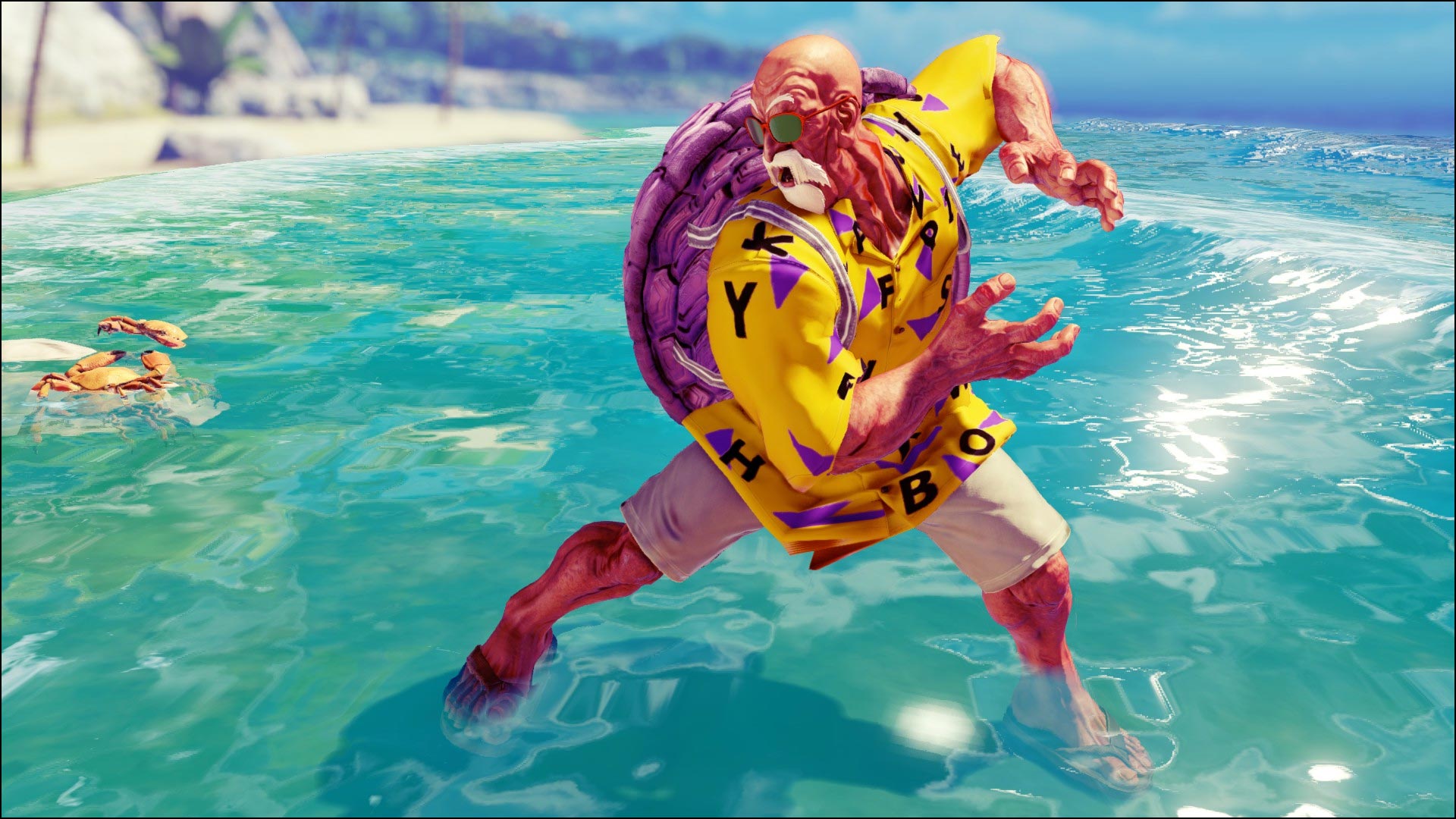 Turtle Hermit Wallpapers - Wallpaper Cave