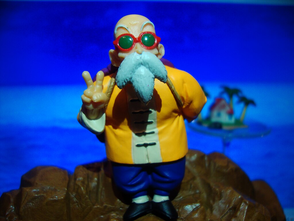 Turtle Hermit Wallpapers - Wallpaper Cave