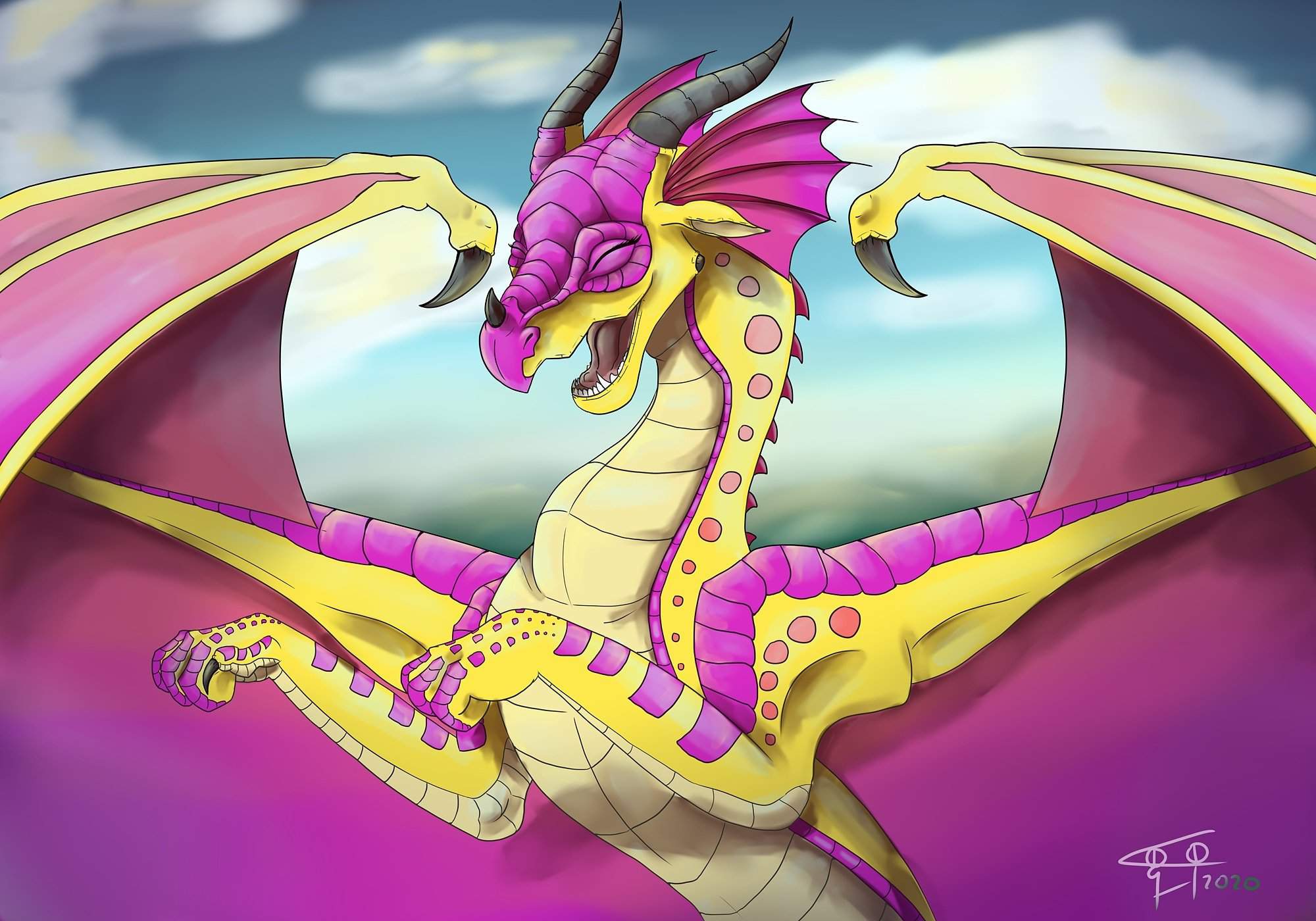 Kinkajou Dragon Wallpapers - Wallpaper Cave