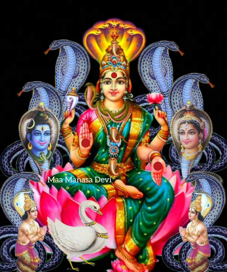 Mansa Devi Wallpapers - Wallpaper Cave