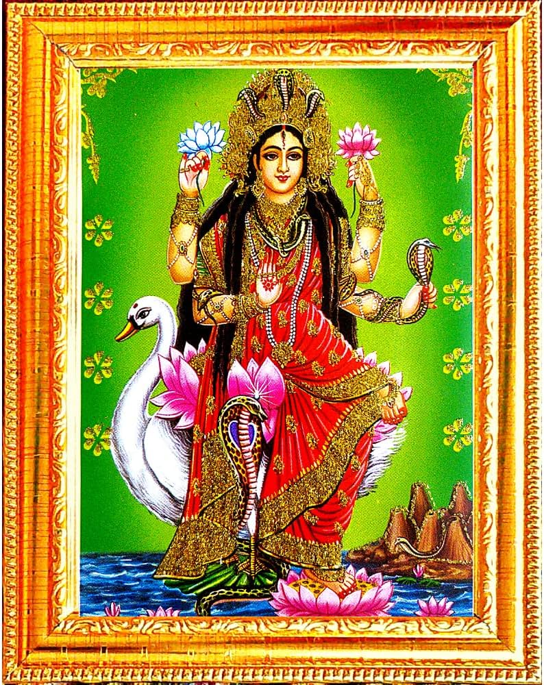 Mansa Devi Wallpapers - Wallpaper Cave