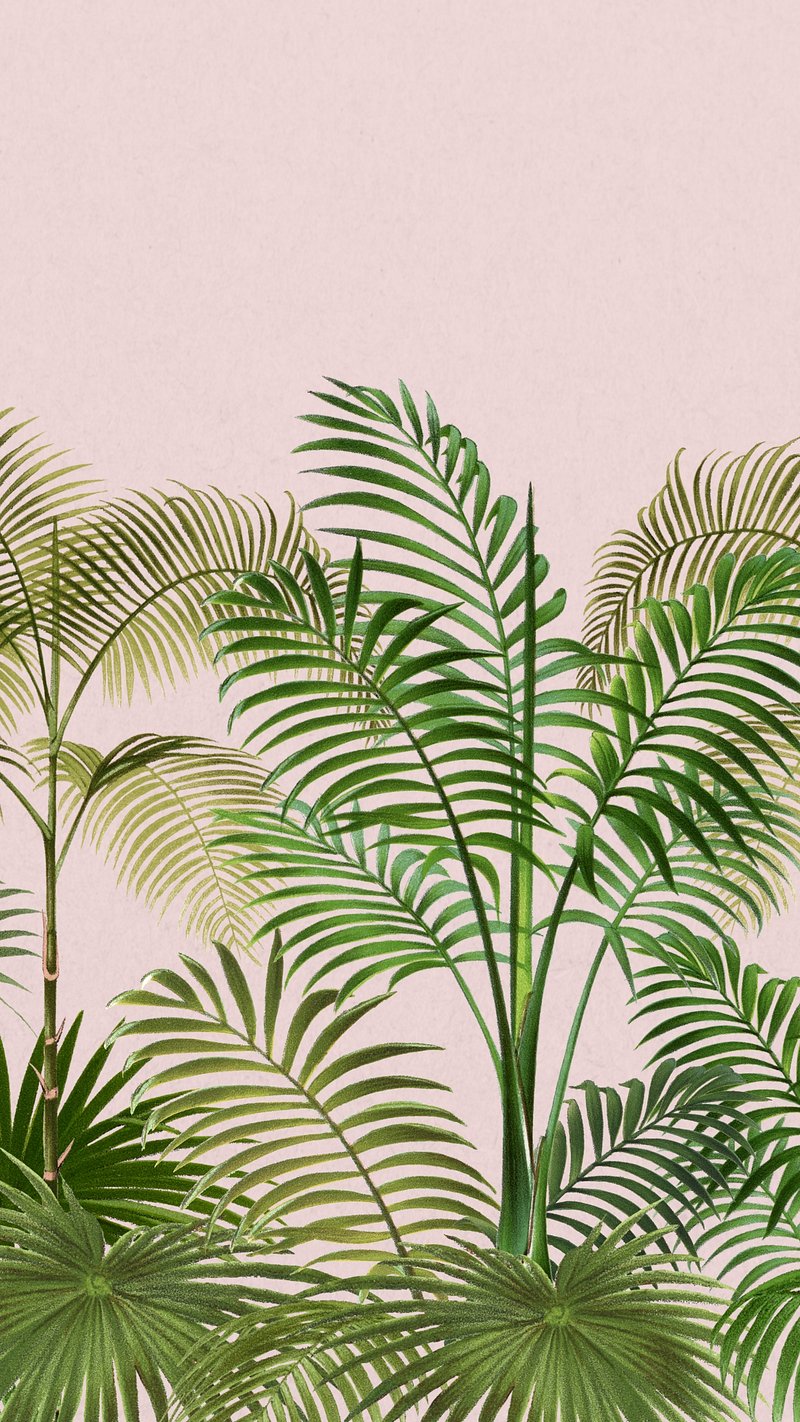 iPhone X Palm Tree Wallpapers - Wallpaper Cave