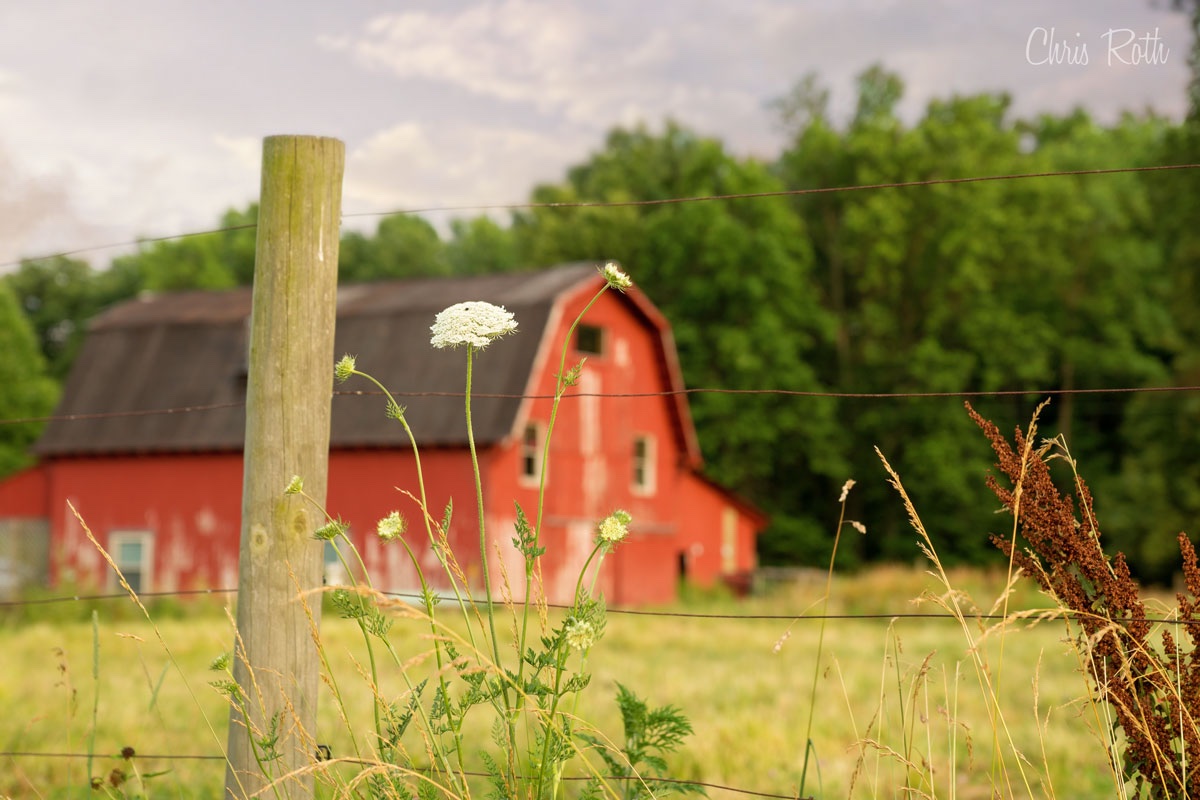 Barn Spring Wallpapers - Wallpaper Cave