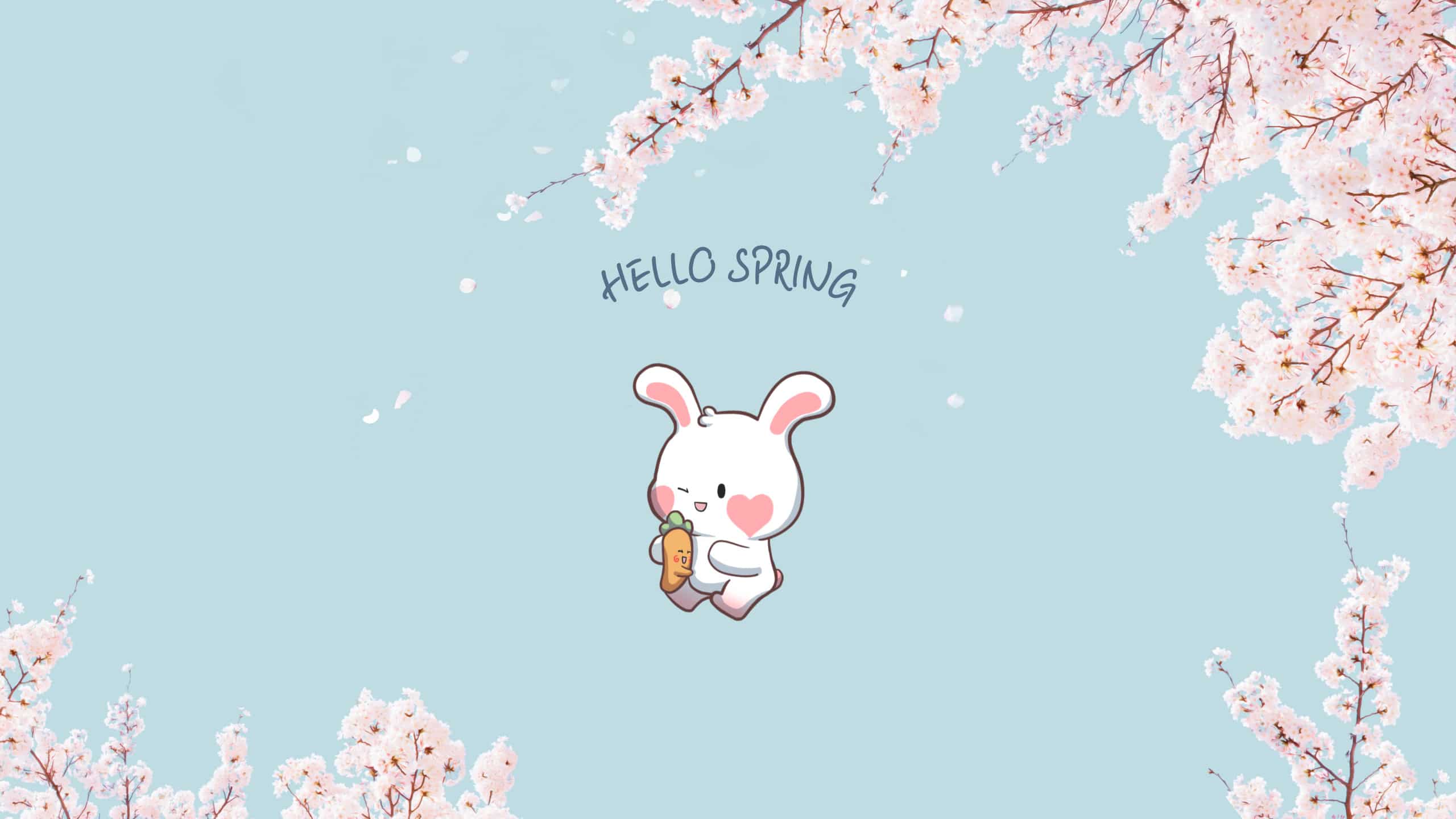 Spring South Korea 2560x1440 Wallpapers - Wallpaper Cave