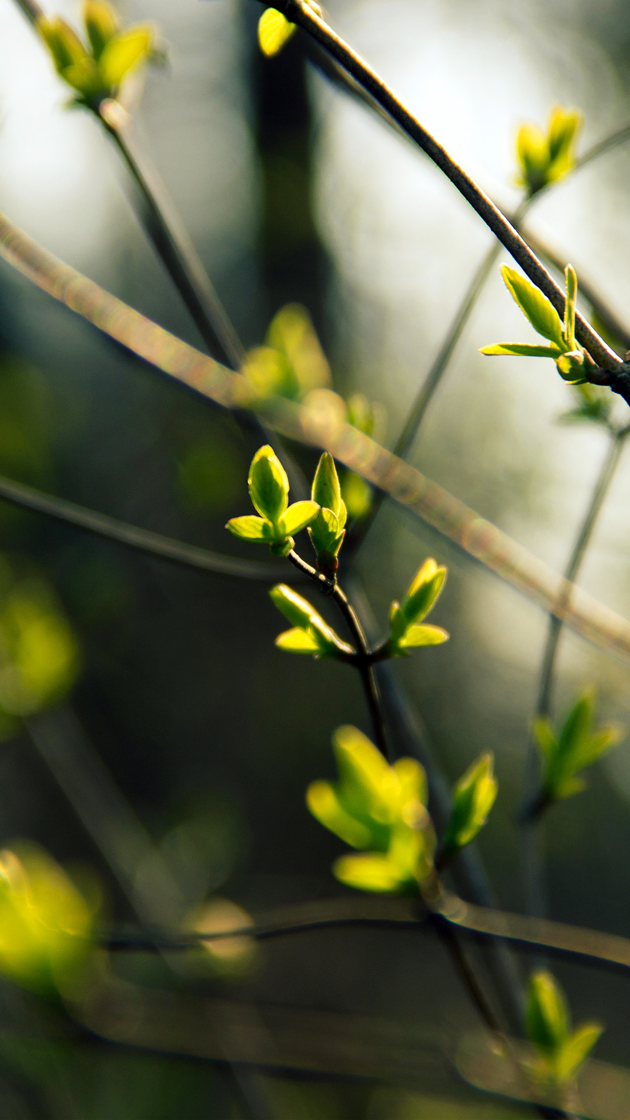 Dark Spring iPhone Wallpapers - Wallpaper Cave