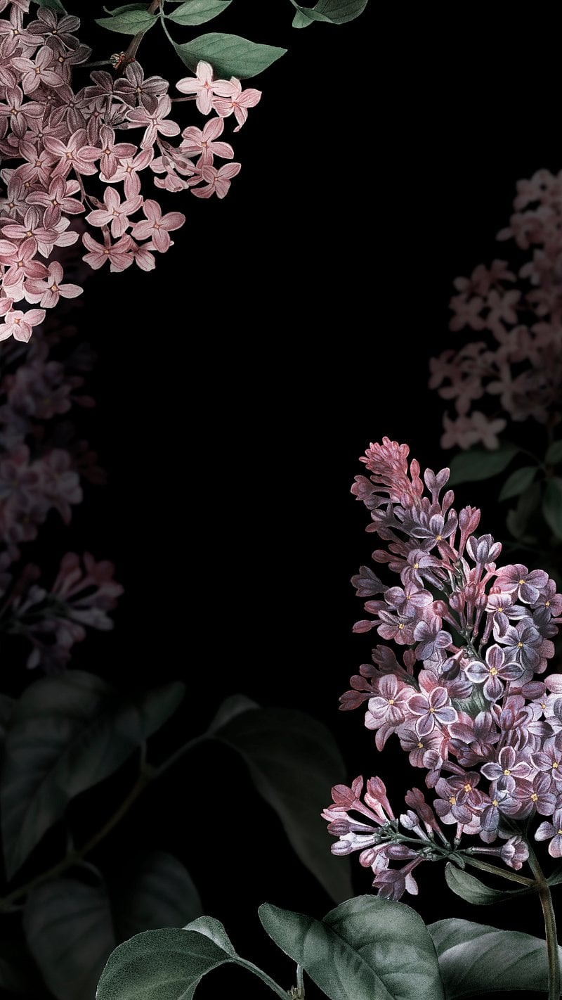 Dark Spring iPhone Wallpapers - Wallpaper Cave