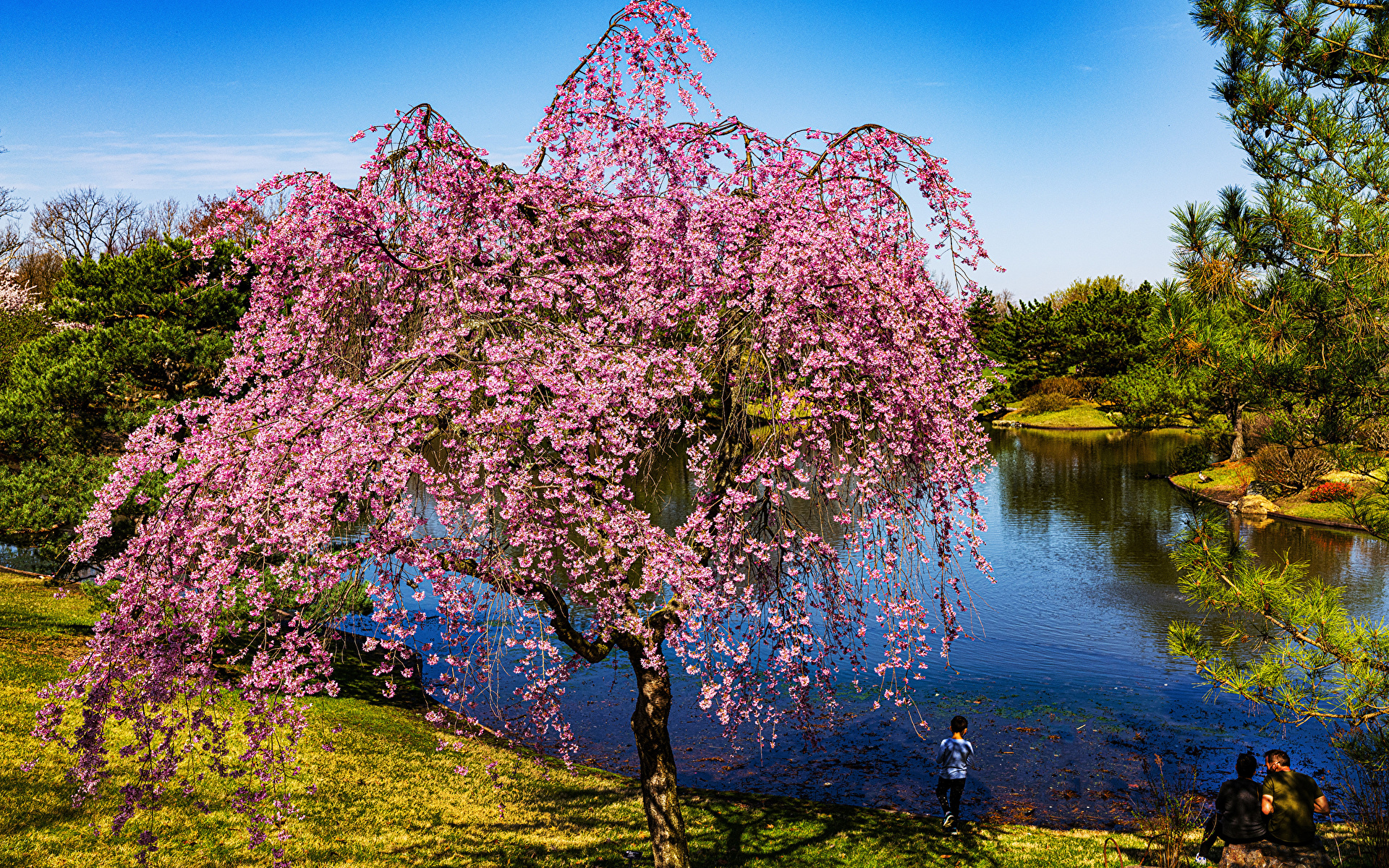 River Spring Flowers Wallpapers - Wallpaper Cave