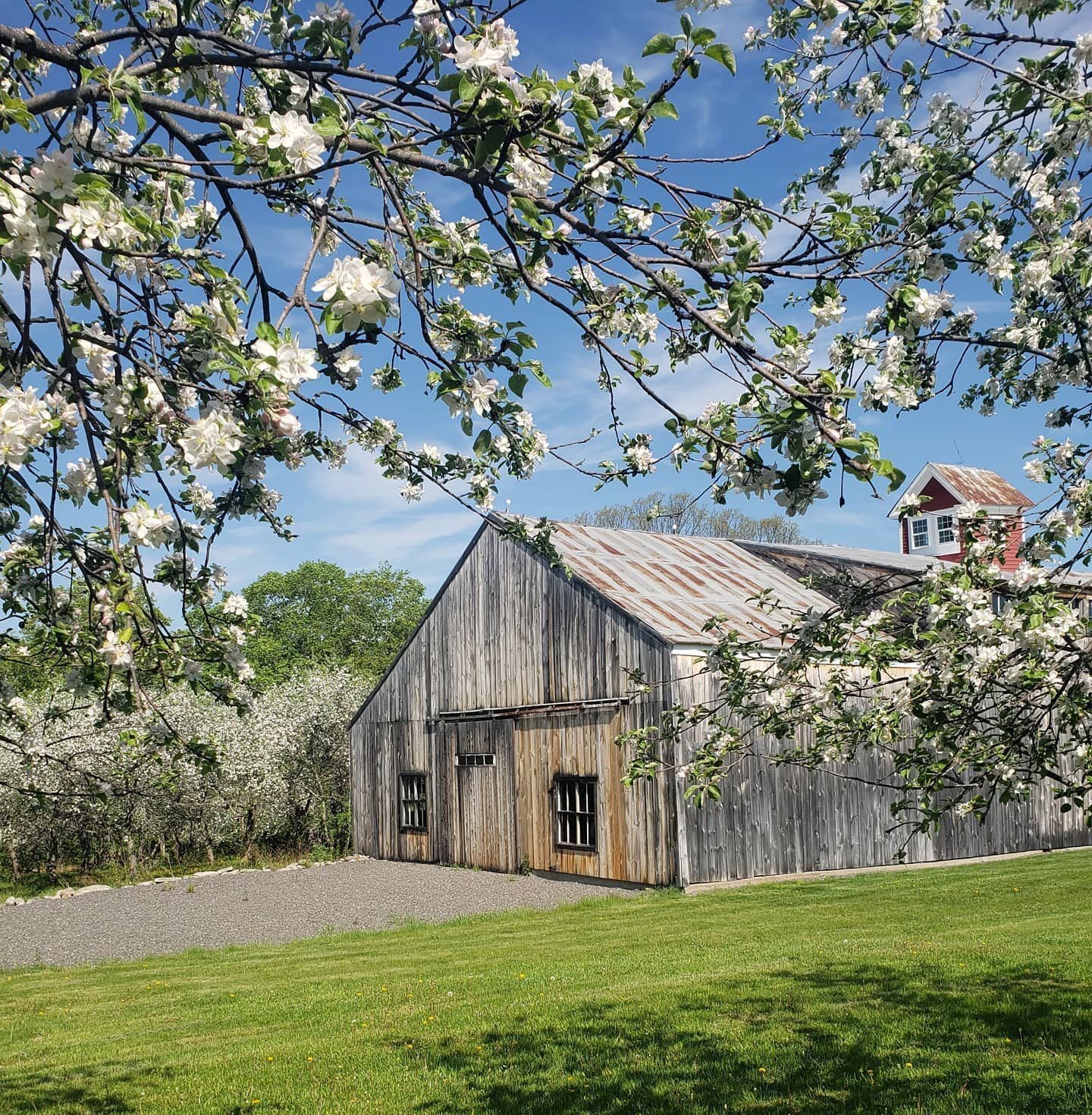 Barn Spring Wallpapers - Wallpaper Cave