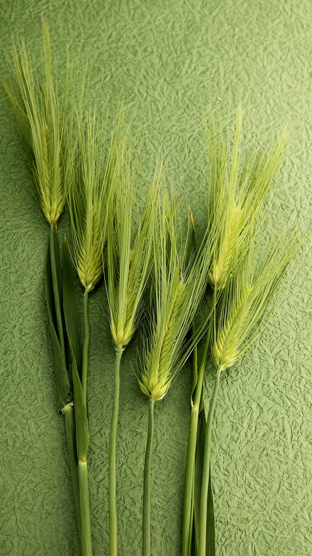 TCL Phone Wallpapers - Wallpaper Cave