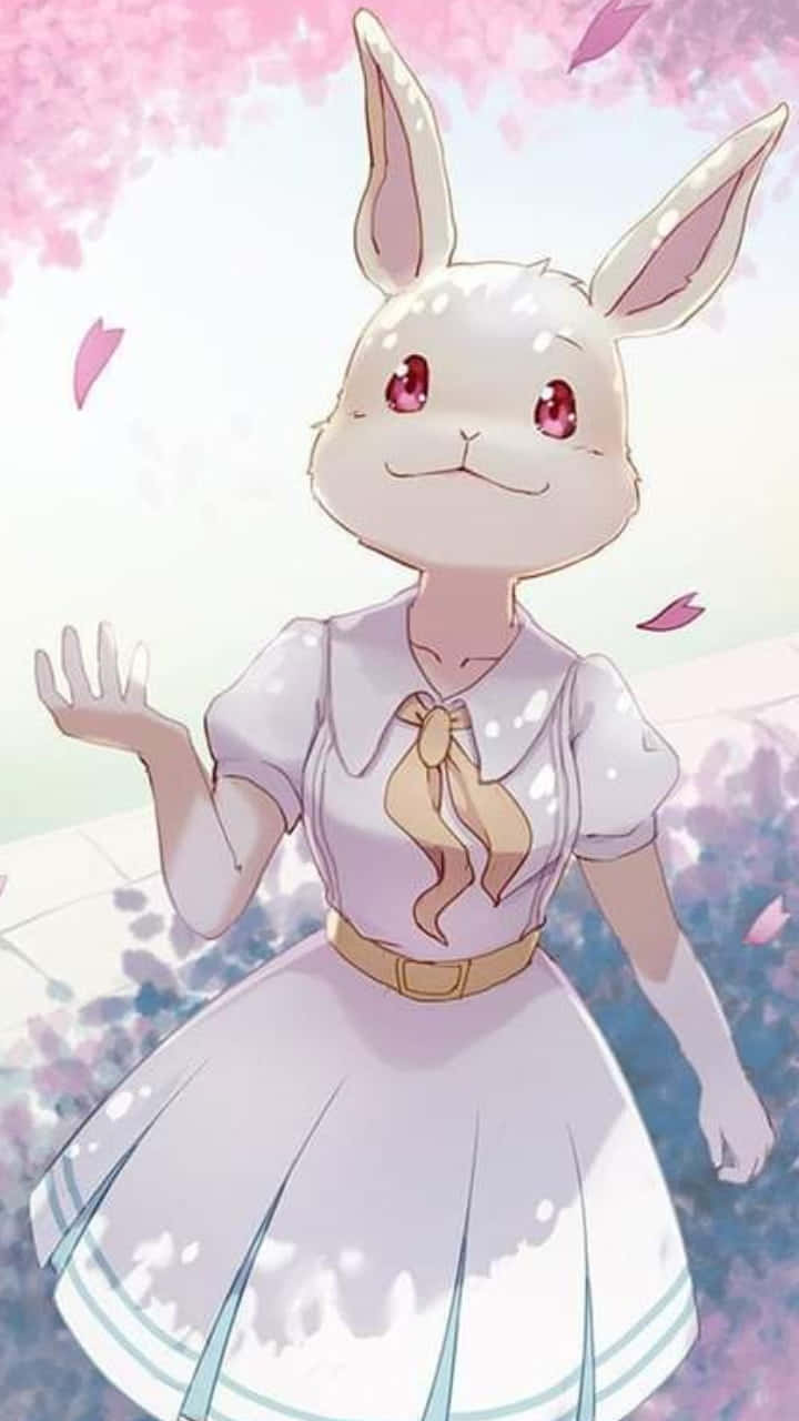 Haru Beastars Wallpapers - Wallpaper Cave