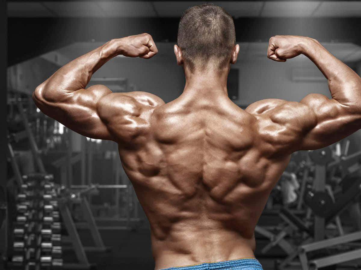 Back Body Wallpapers - Wallpaper Cave