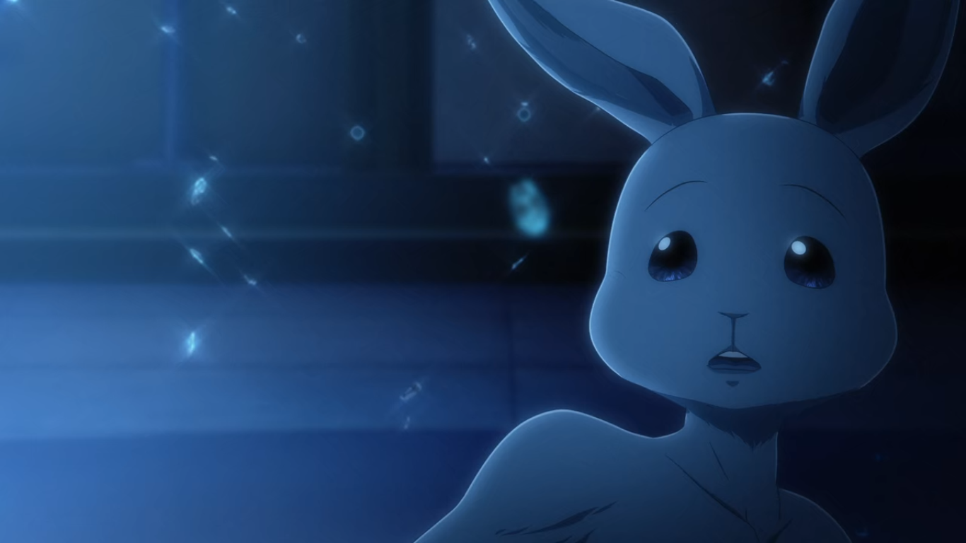 Haru Beastars Wallpapers - Wallpaper Cave