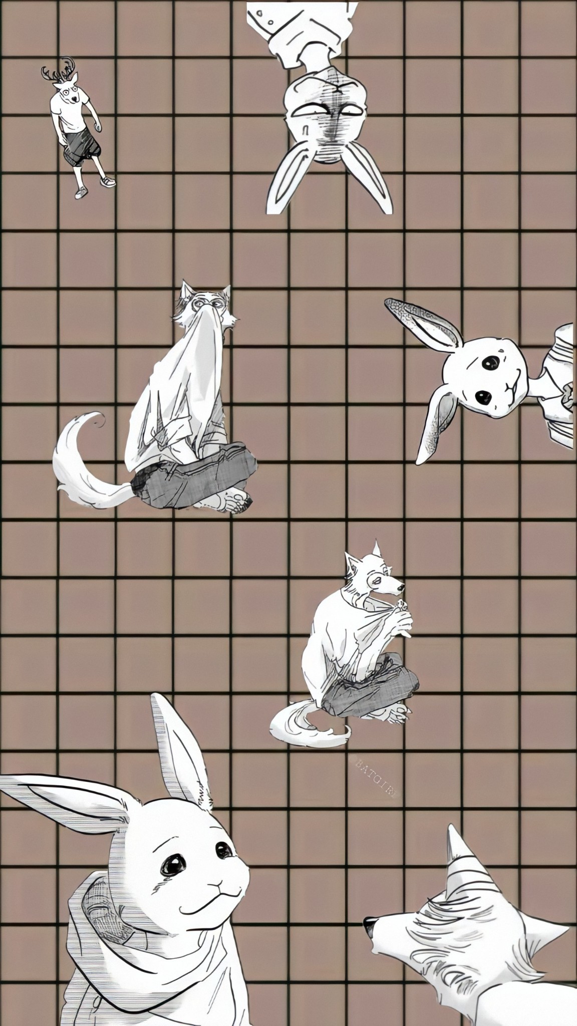 Haru Beastars Wallpapers - Wallpaper Cave