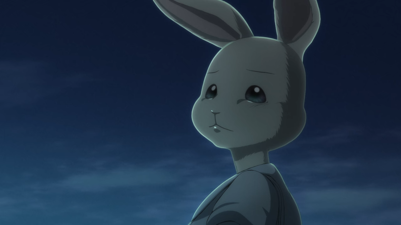 Haru Beastars Wallpapers - Wallpaper Cave