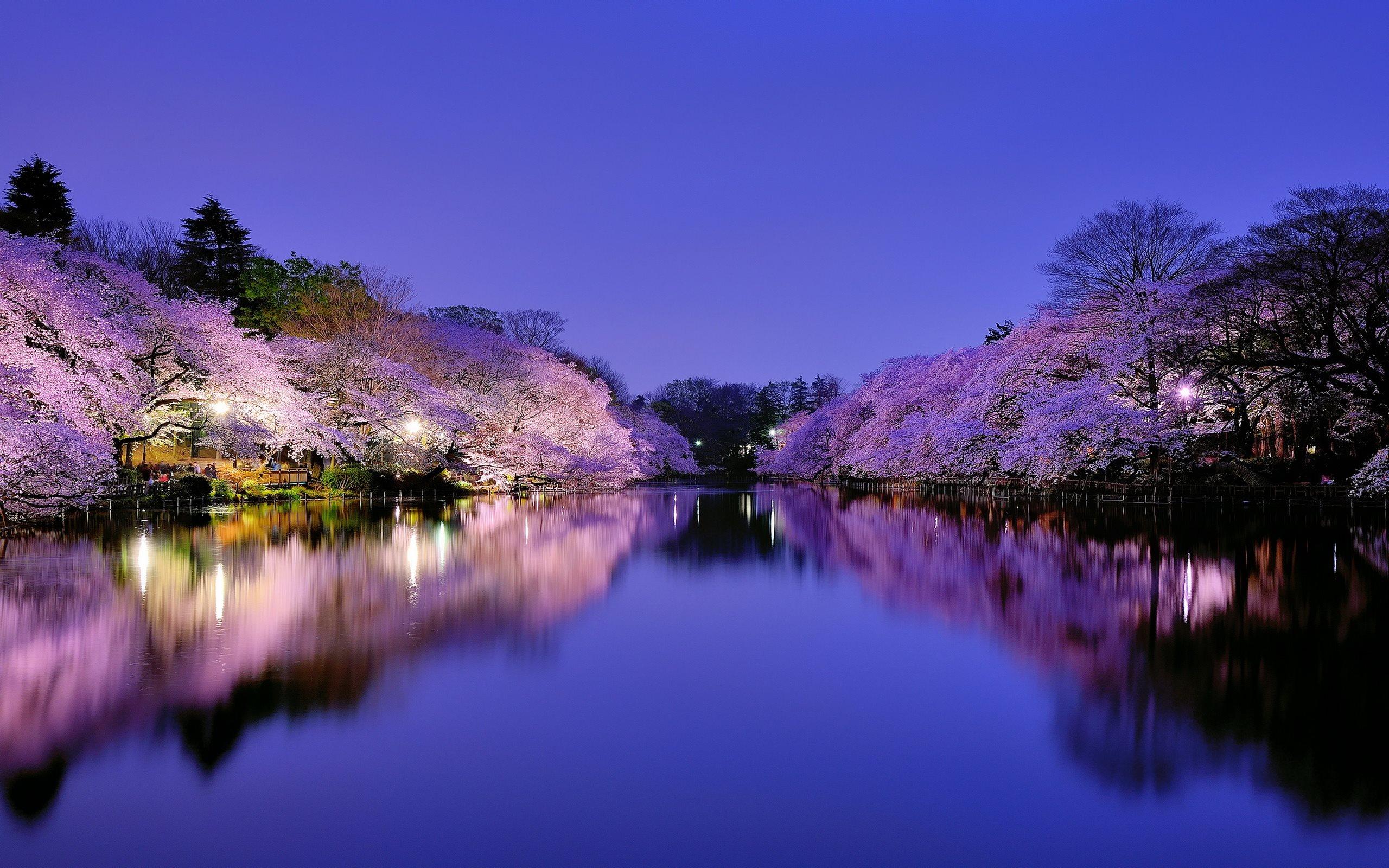 Japan Scene Wallpapers - Wallpaper Cave