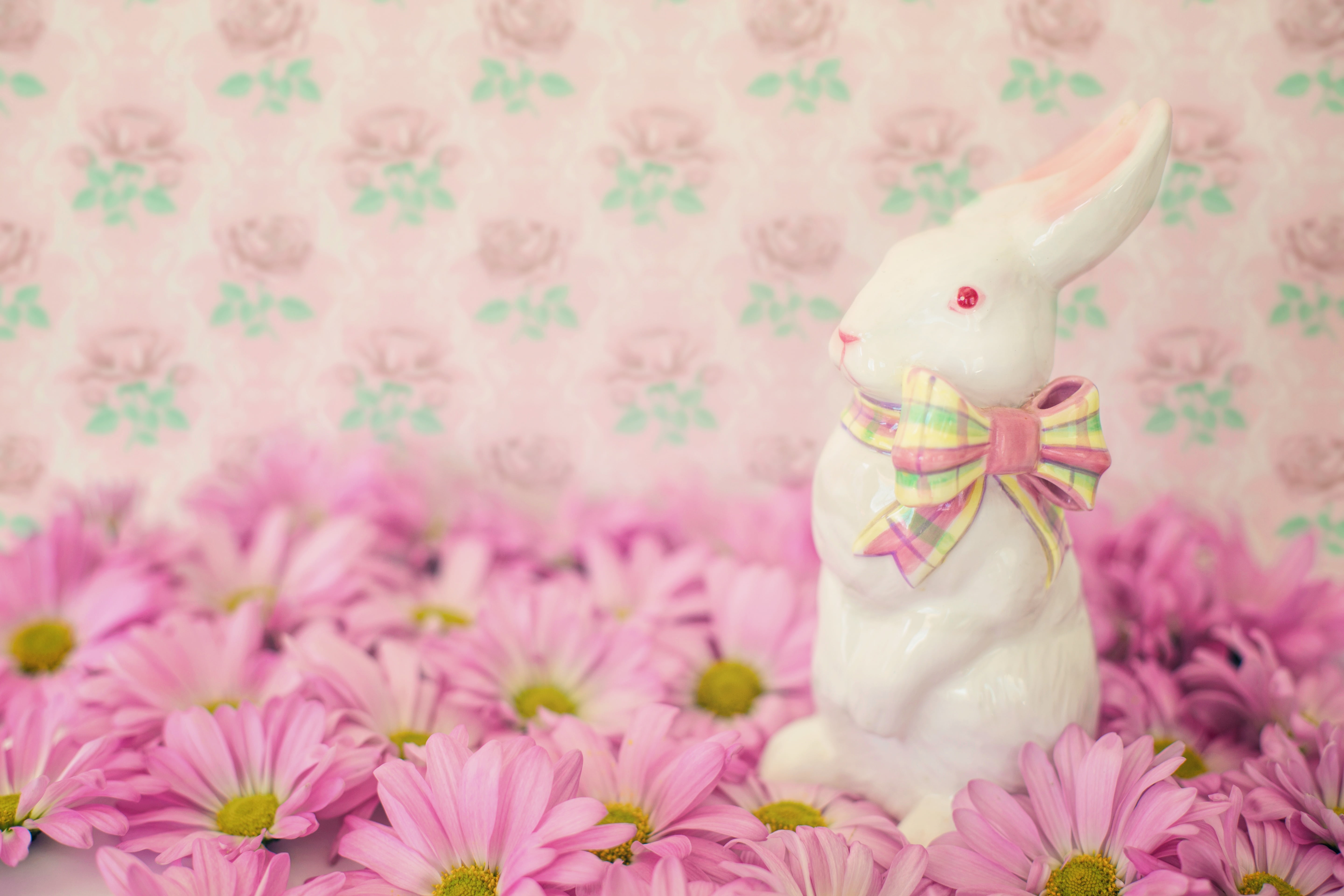 Bunny Flower Wallpapers - Wallpaper Cave
