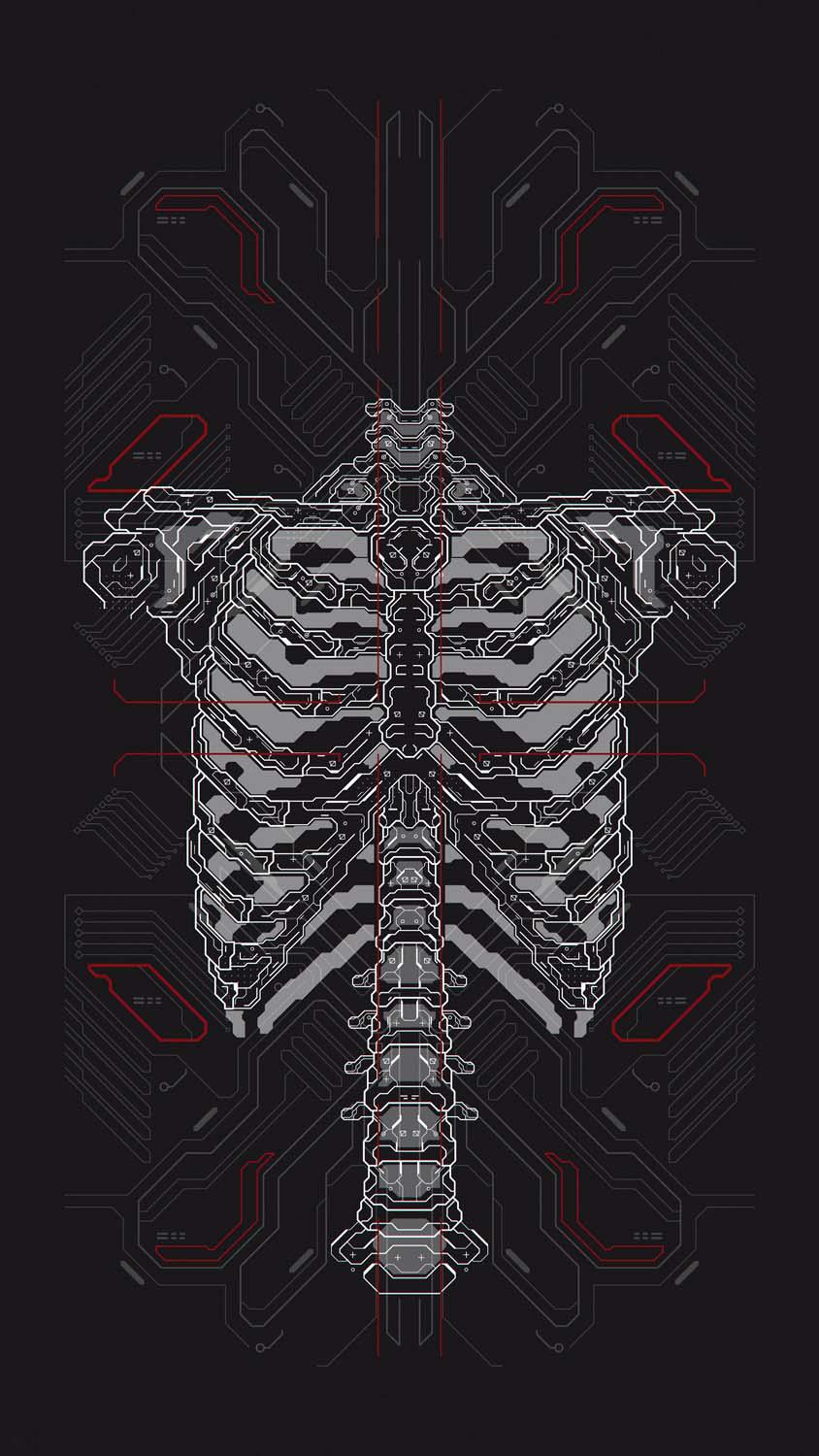 iPhone Skeleton Wallpapers - Wallpaper Cave