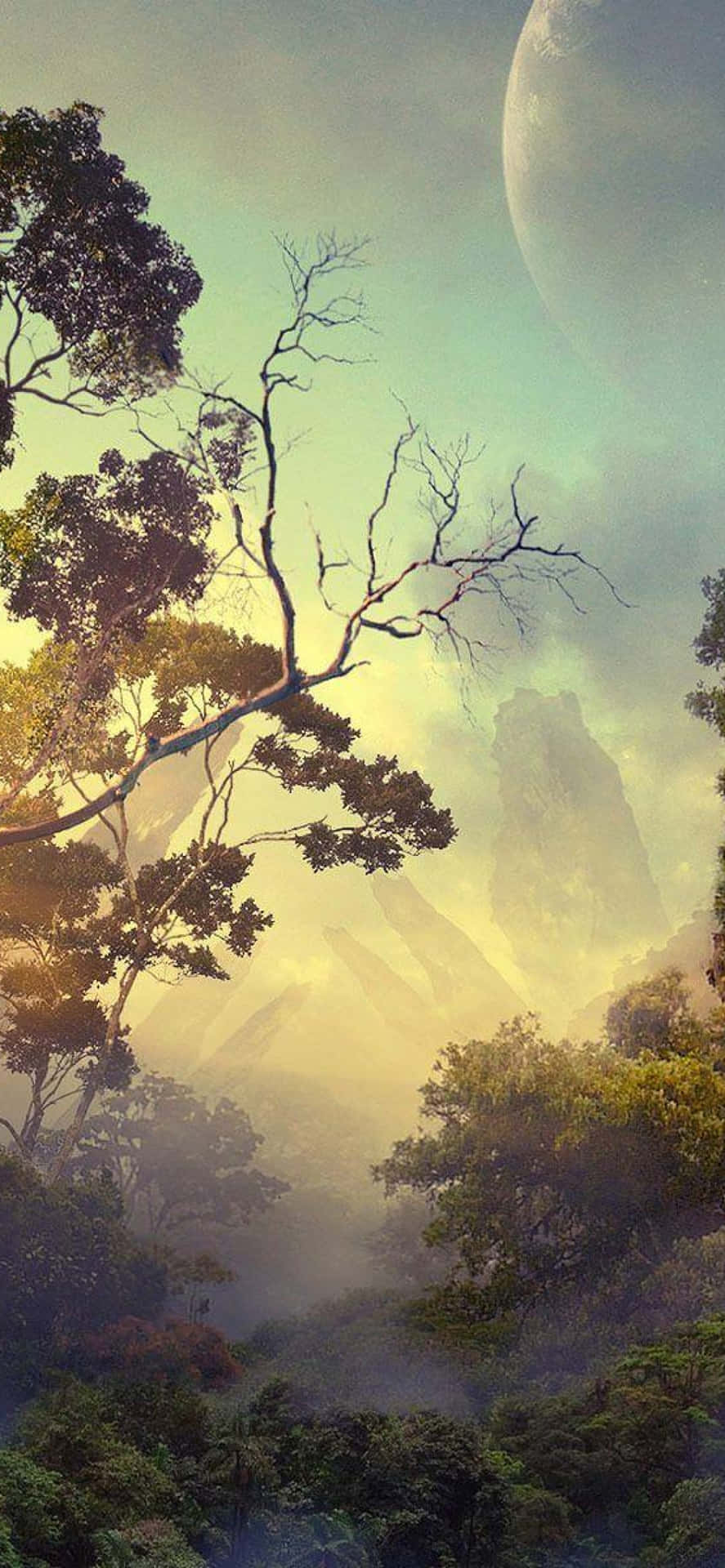 Avatar Pandora Phone Wallpapers - Wallpaper Cave