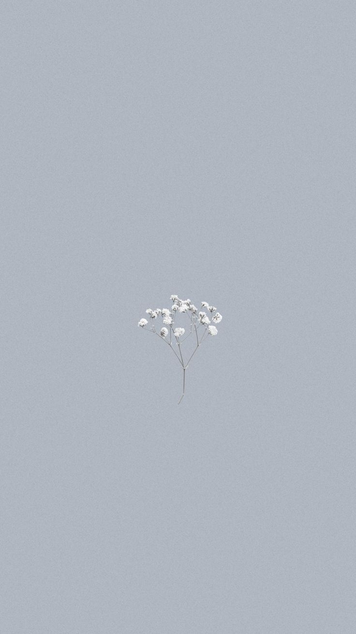 Spring Minimal Aesthetic Wallpapers - Wallpaper Cave