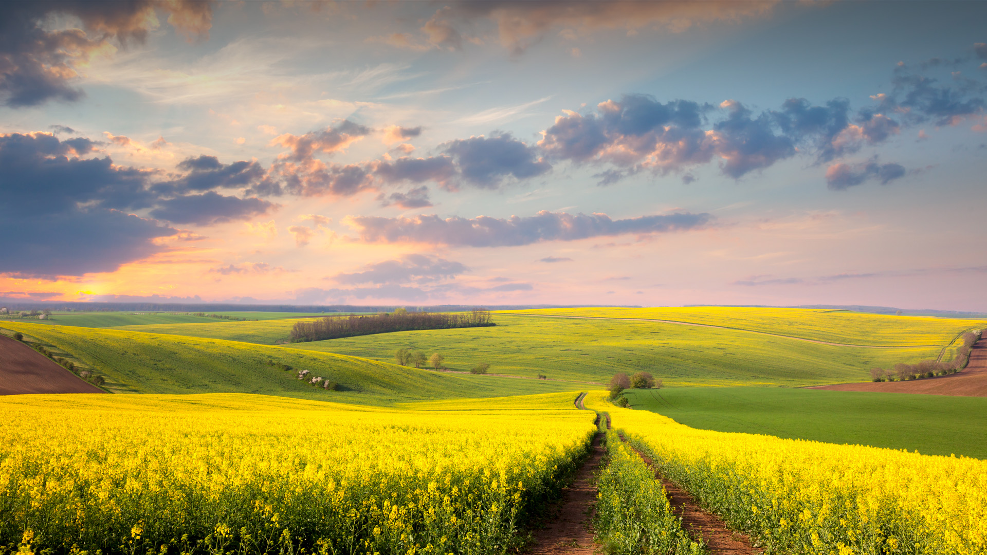 Yellow Spring Fields Wallpapers - Wallpaper Cave