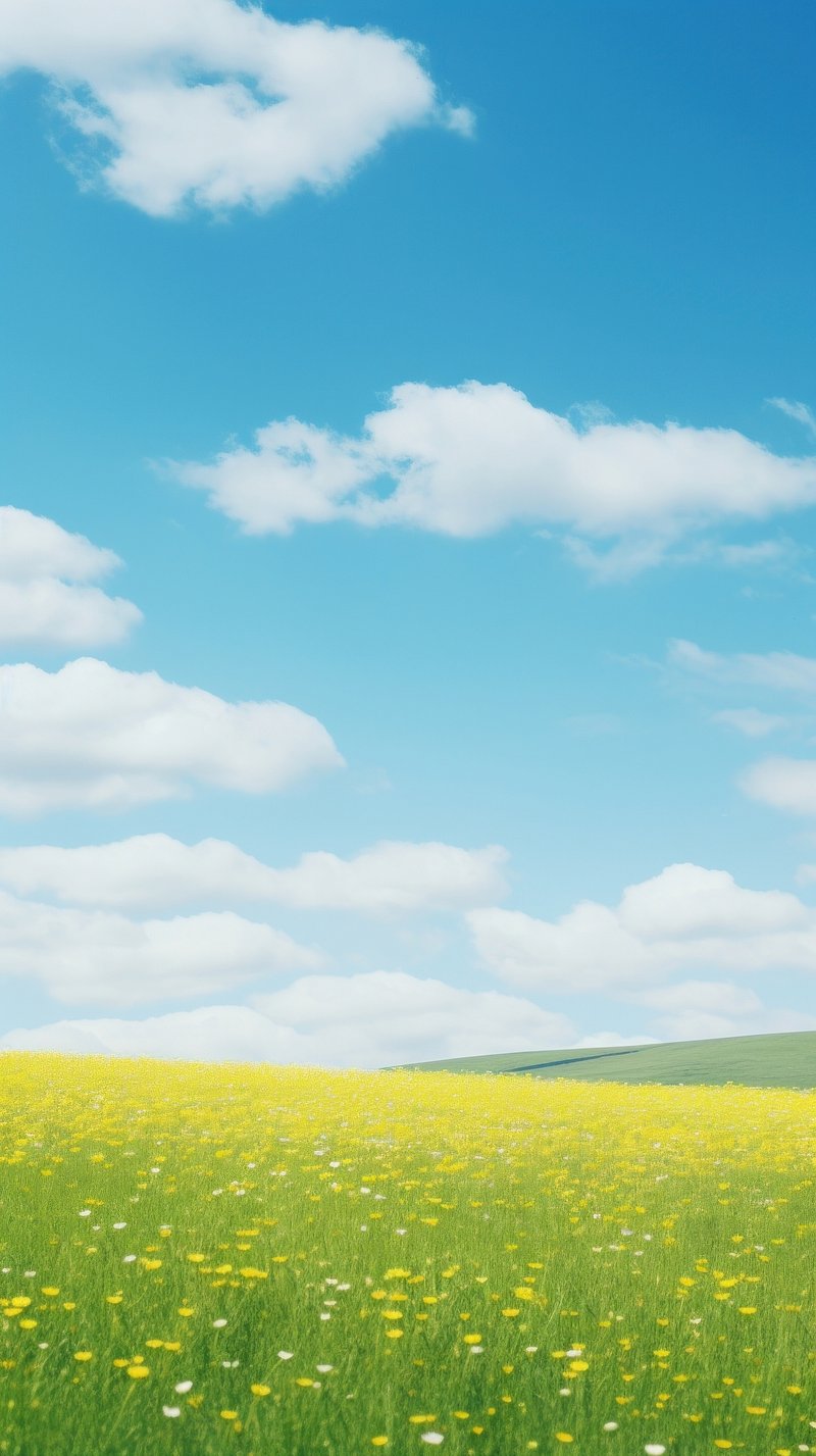 Yellow Spring Fields Wallpapers - Wallpaper Cave
