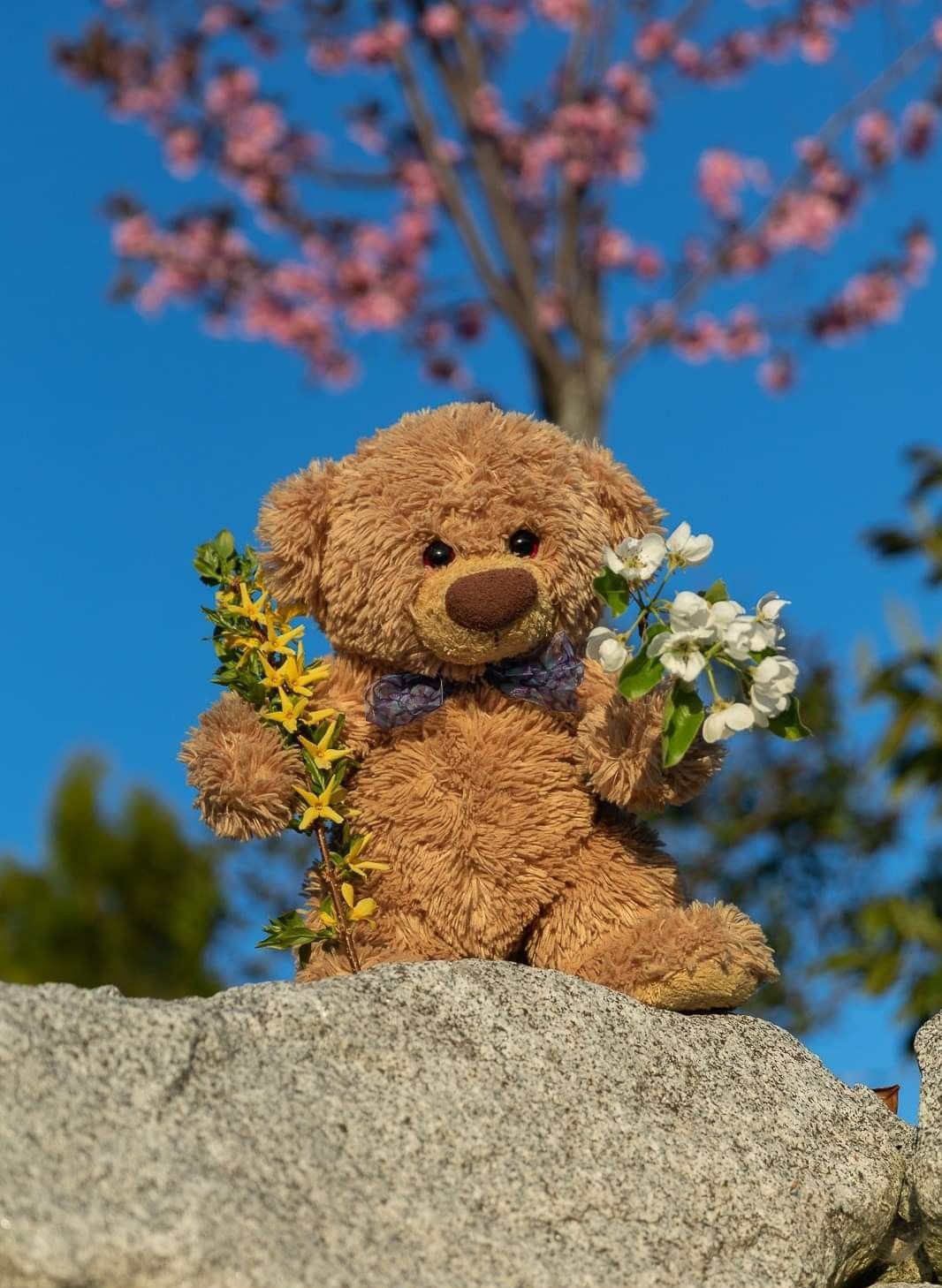 Spring Teddy Bears Wallpapers - Wallpaper Cave