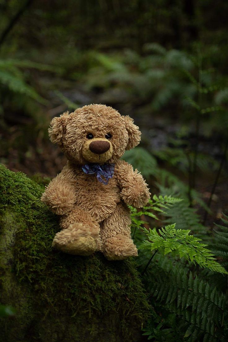 Spring Teddy Bears Wallpapers - Wallpaper Cave