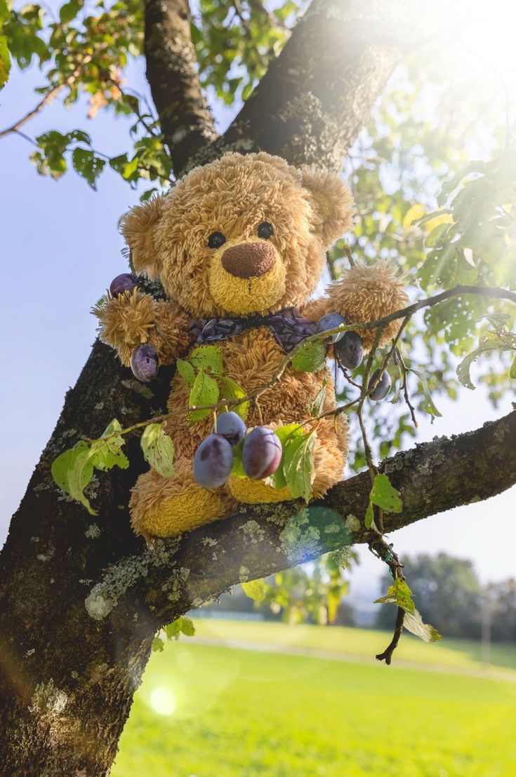 Spring Teddy Bears Wallpapers - Wallpaper Cave