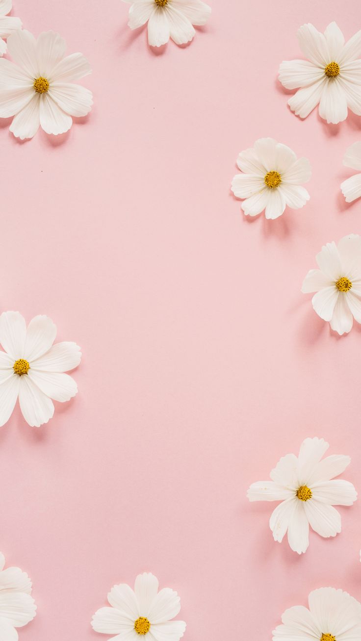 Summer Sweet Wallpapers - Wallpaper Cave