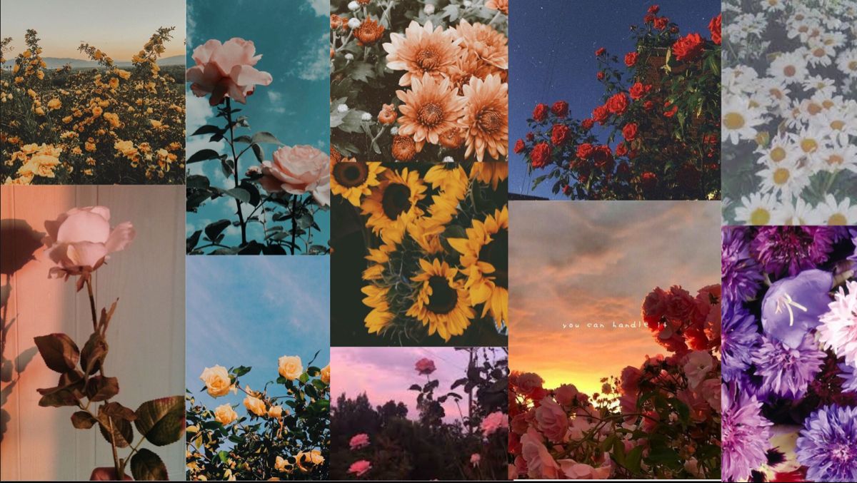 Flowers Collage Wallpapers - Wallpaper Cave