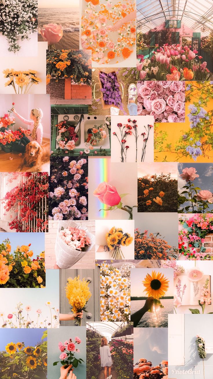 Flowers Collage Wallpapers - Wallpaper Cave
