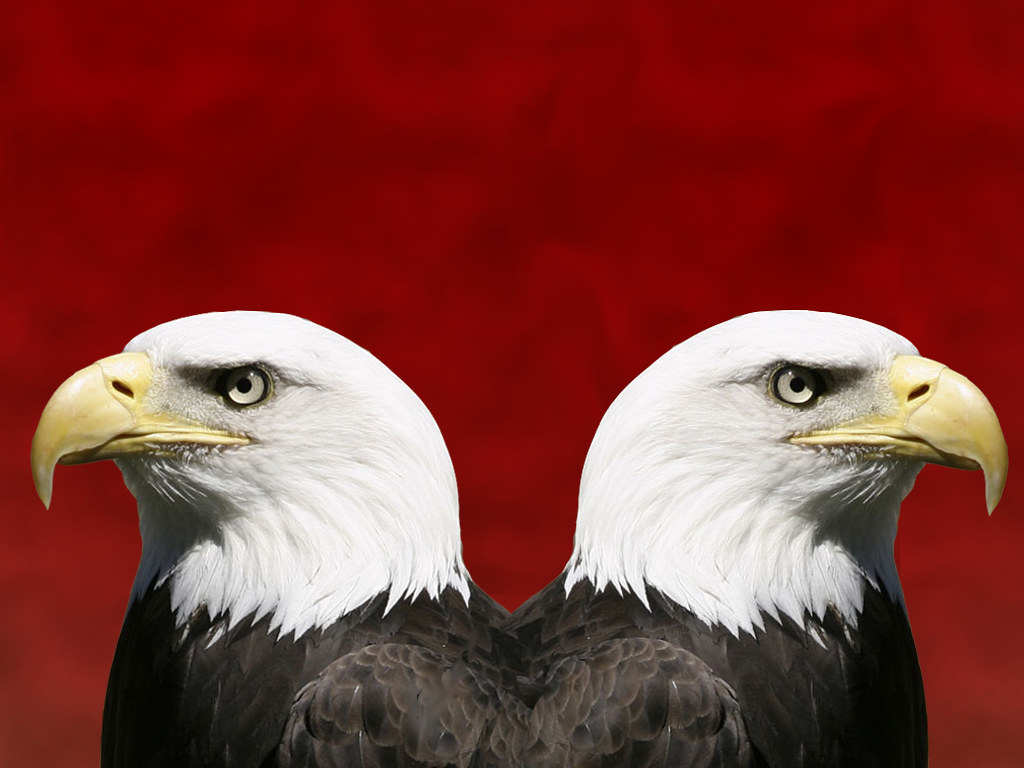 Double Headed Eagle Wallpapers - Wallpaper Cave