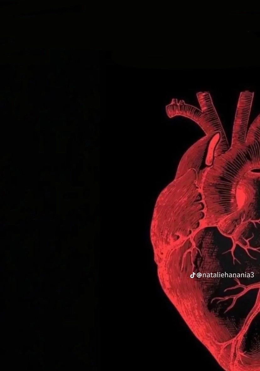 Heart Organ Wallpapers - Wallpaper Cave