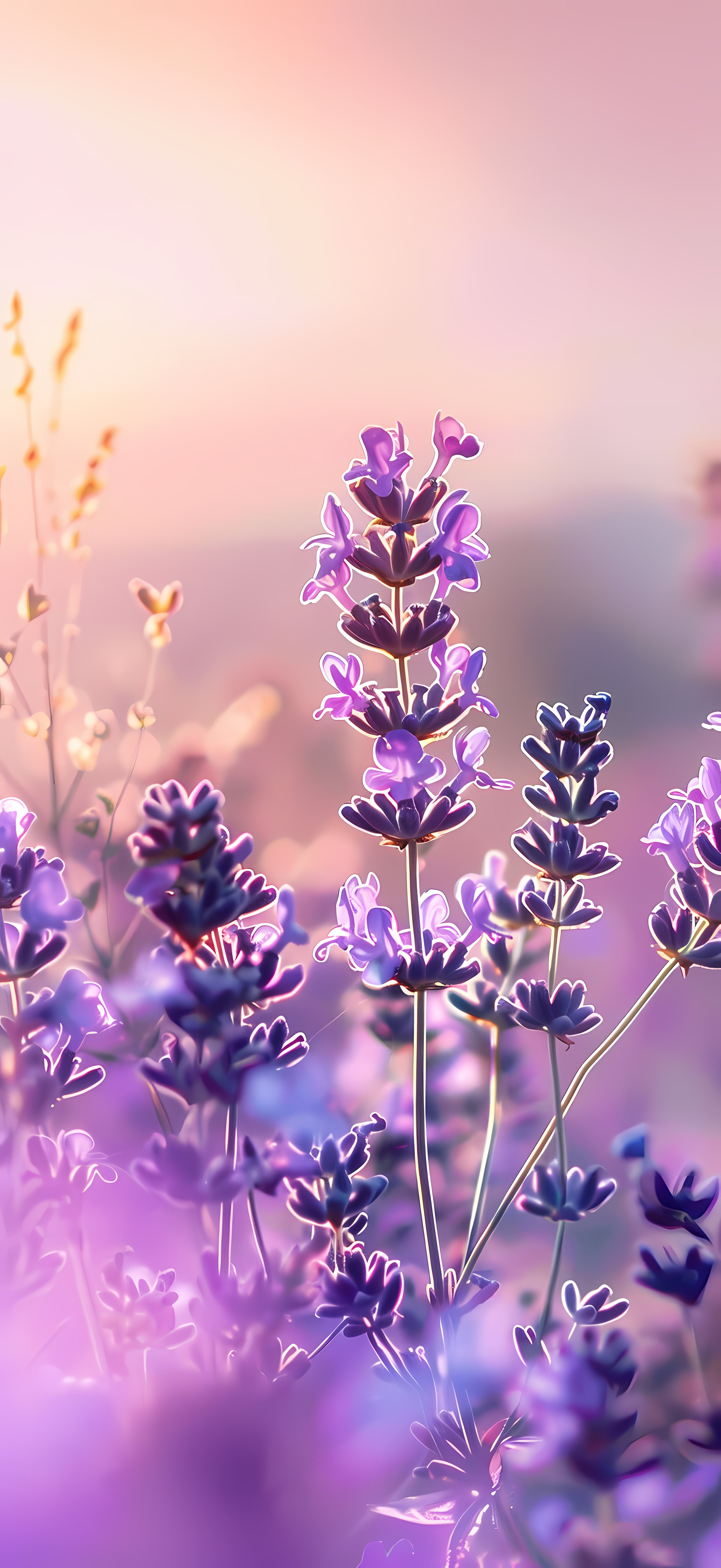 Light Purple Wallpapers - Wallpaper Cave