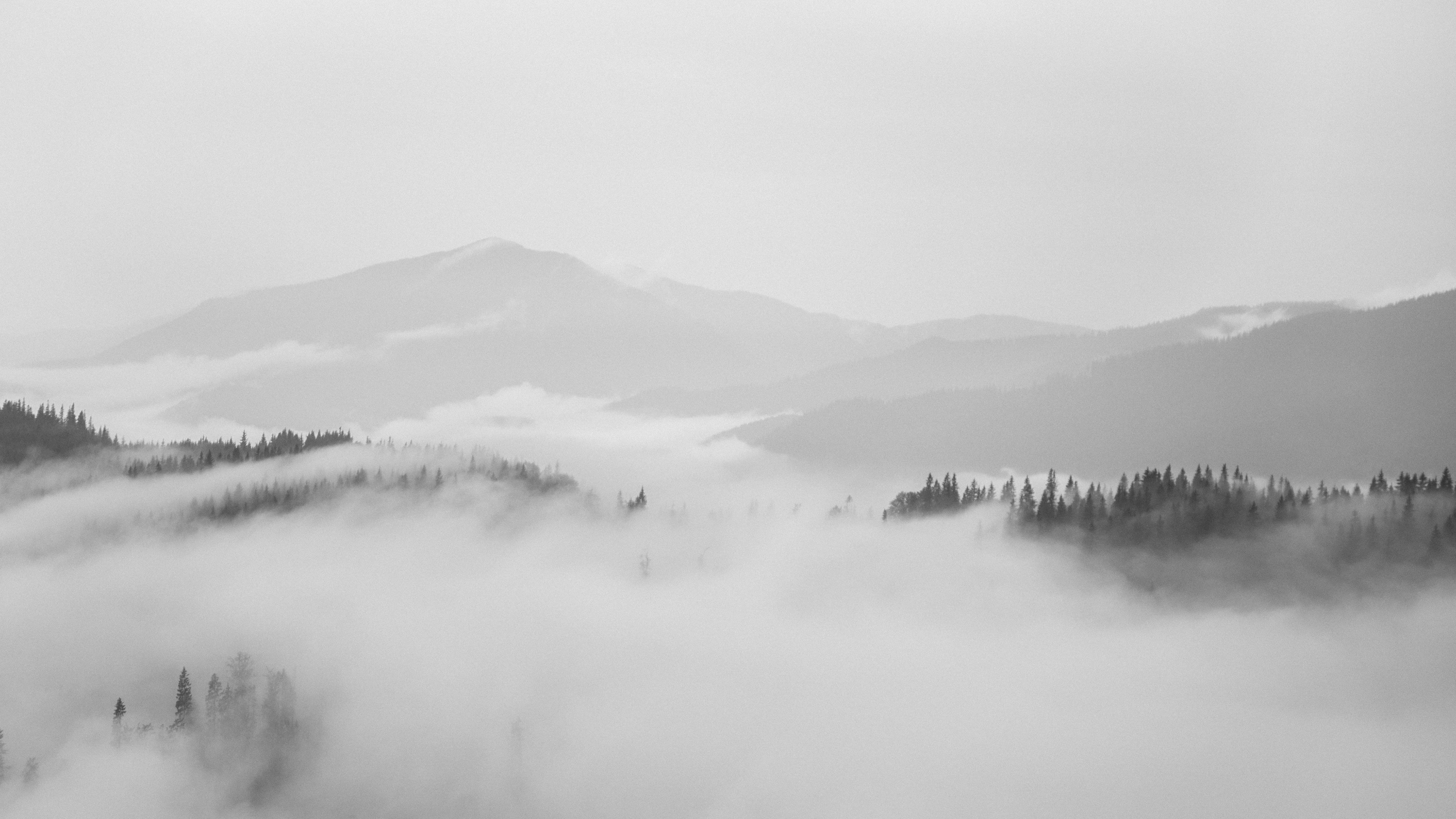 Clean Black And White Wallpapers - Wallpaper Cave