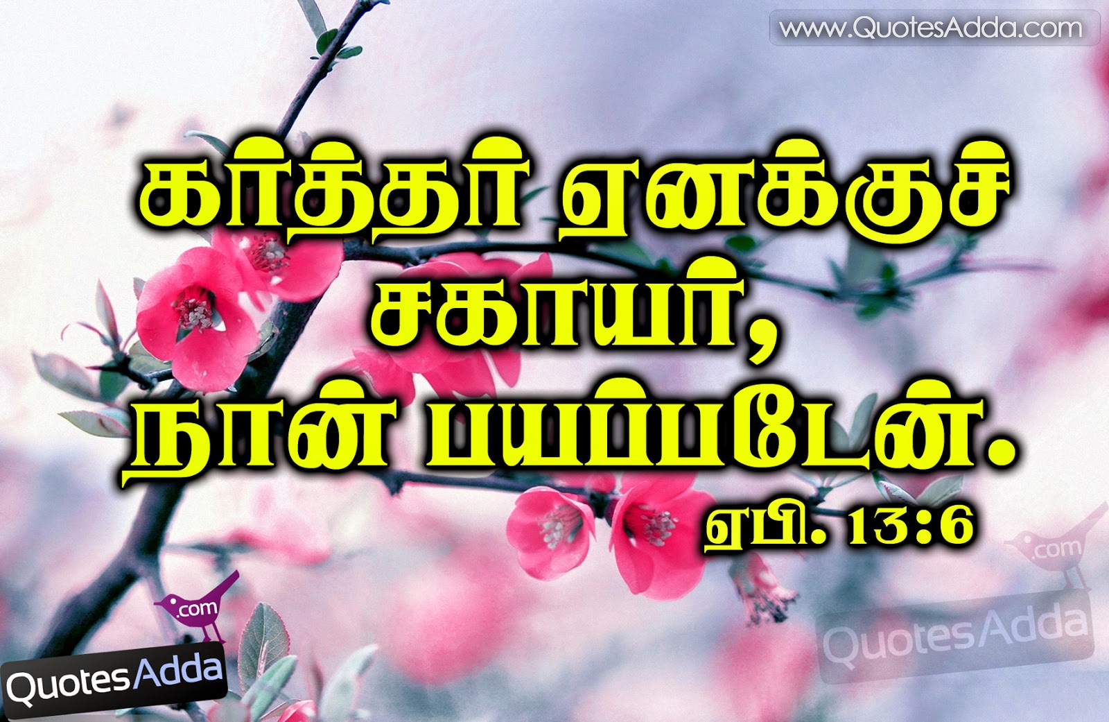 Tamil Words Wallpapers - Wallpaper Cave