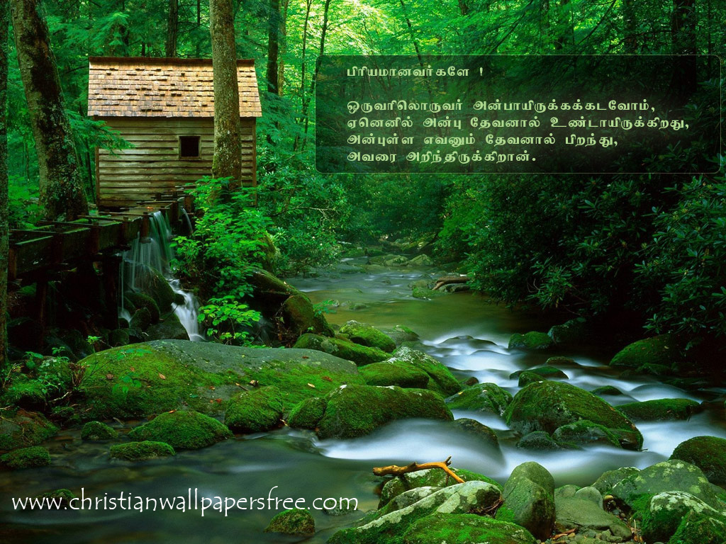 Tamil Words Wallpapers - Wallpaper Cave