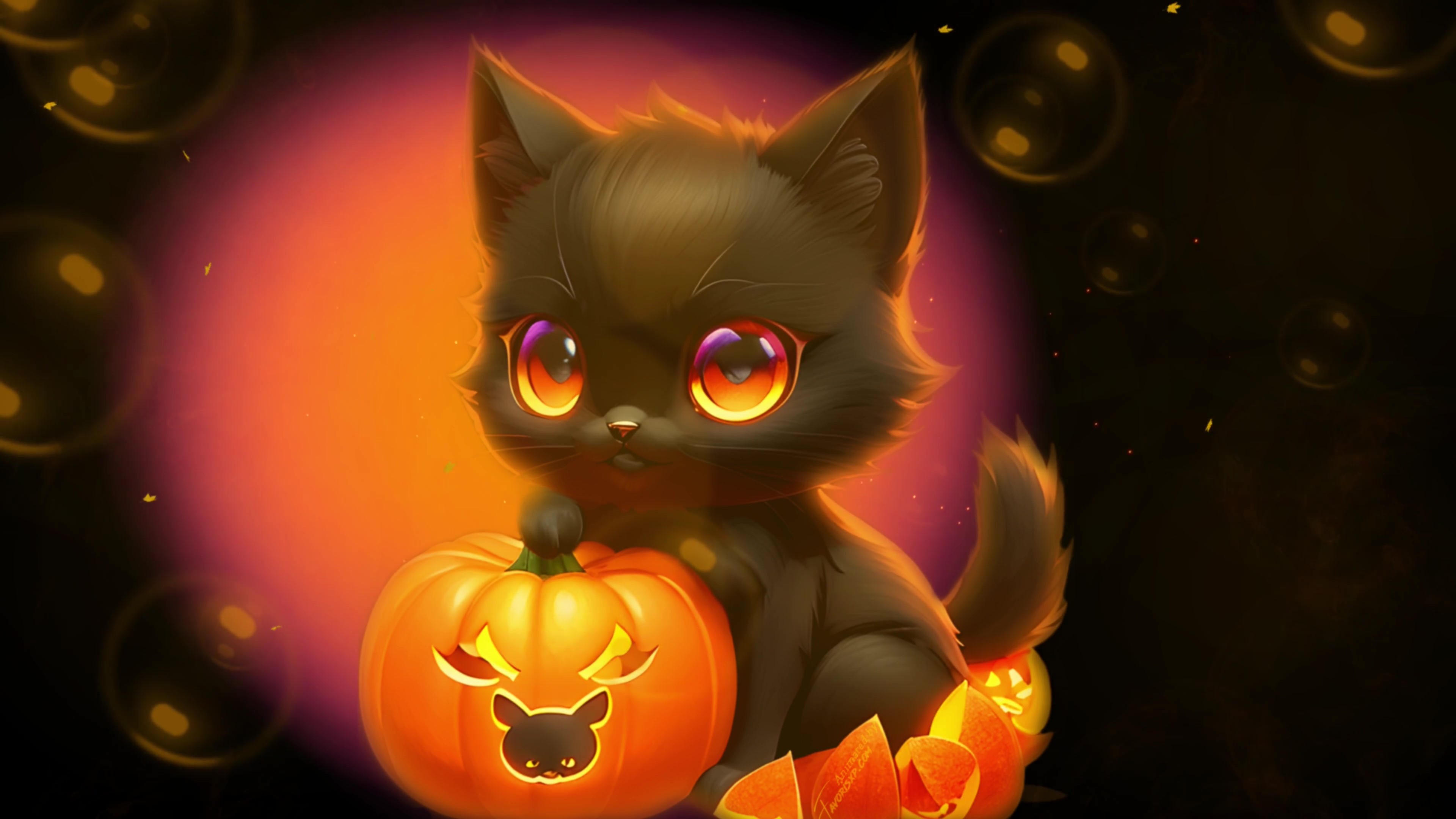 Cute Spooky Cat Wallpapers - Wallpaper Cave