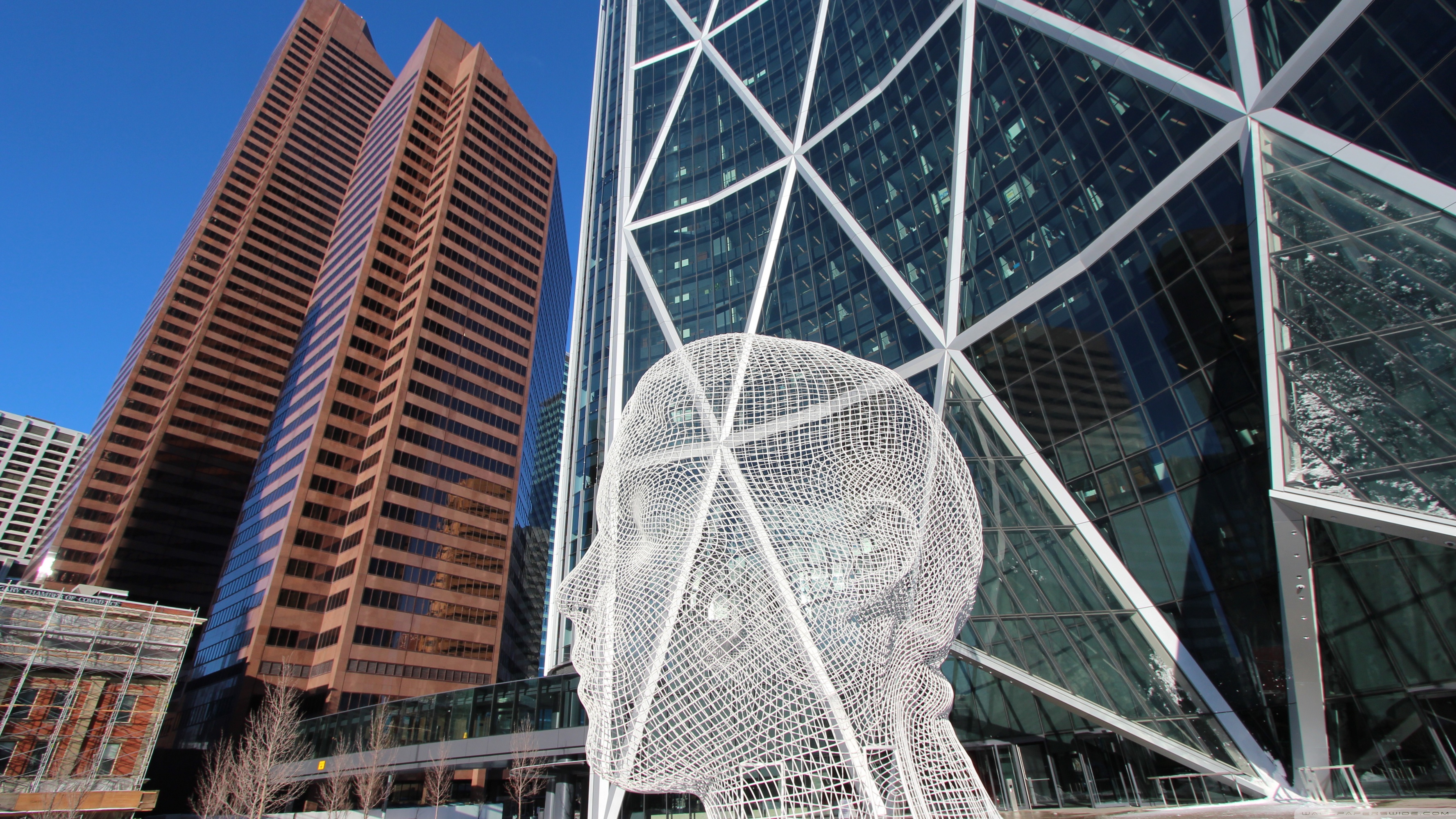 Calgary 4k Wallpapers - Wallpaper Cave