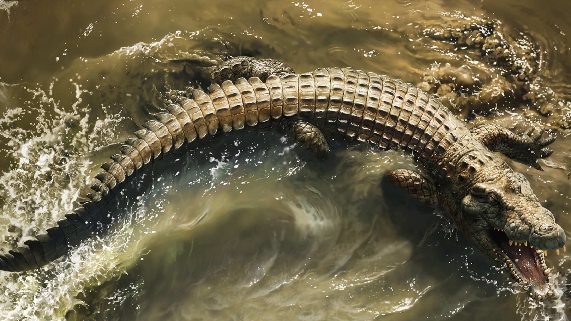 African Crocodiles Wallpapers - Wallpaper Cave