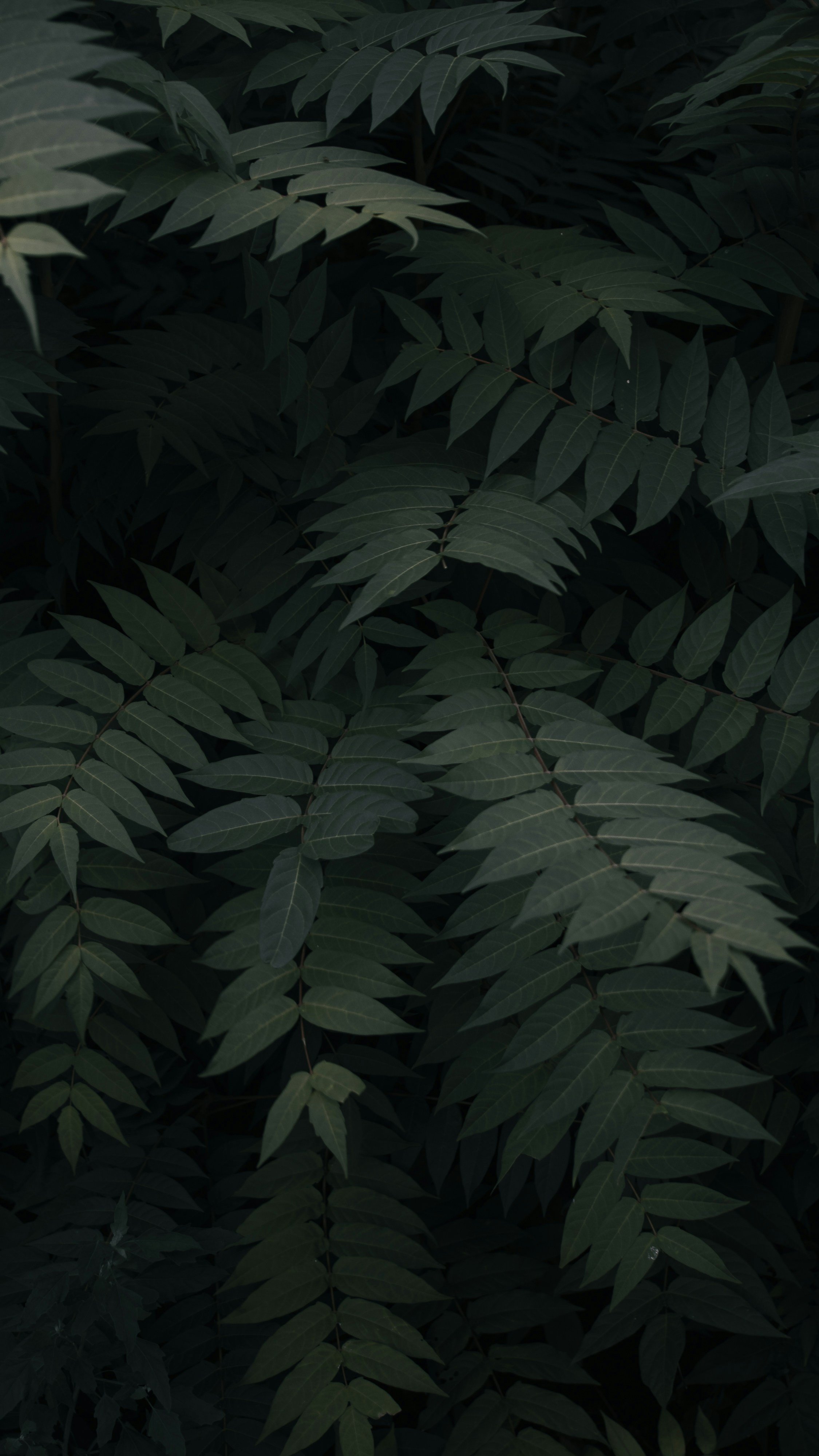 4k Tablets Wallpapers - Wallpaper Cave