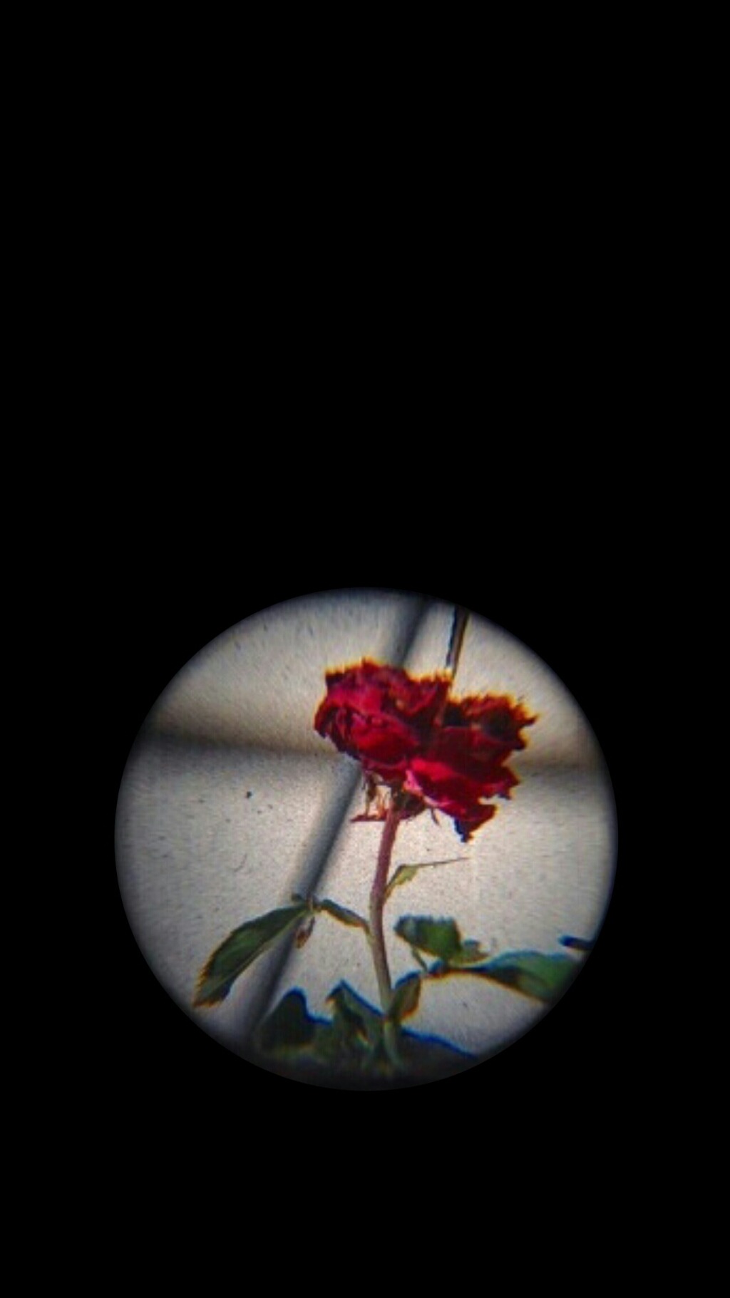 Aesthetic Matching Wallpapers - Wallpaper Cave