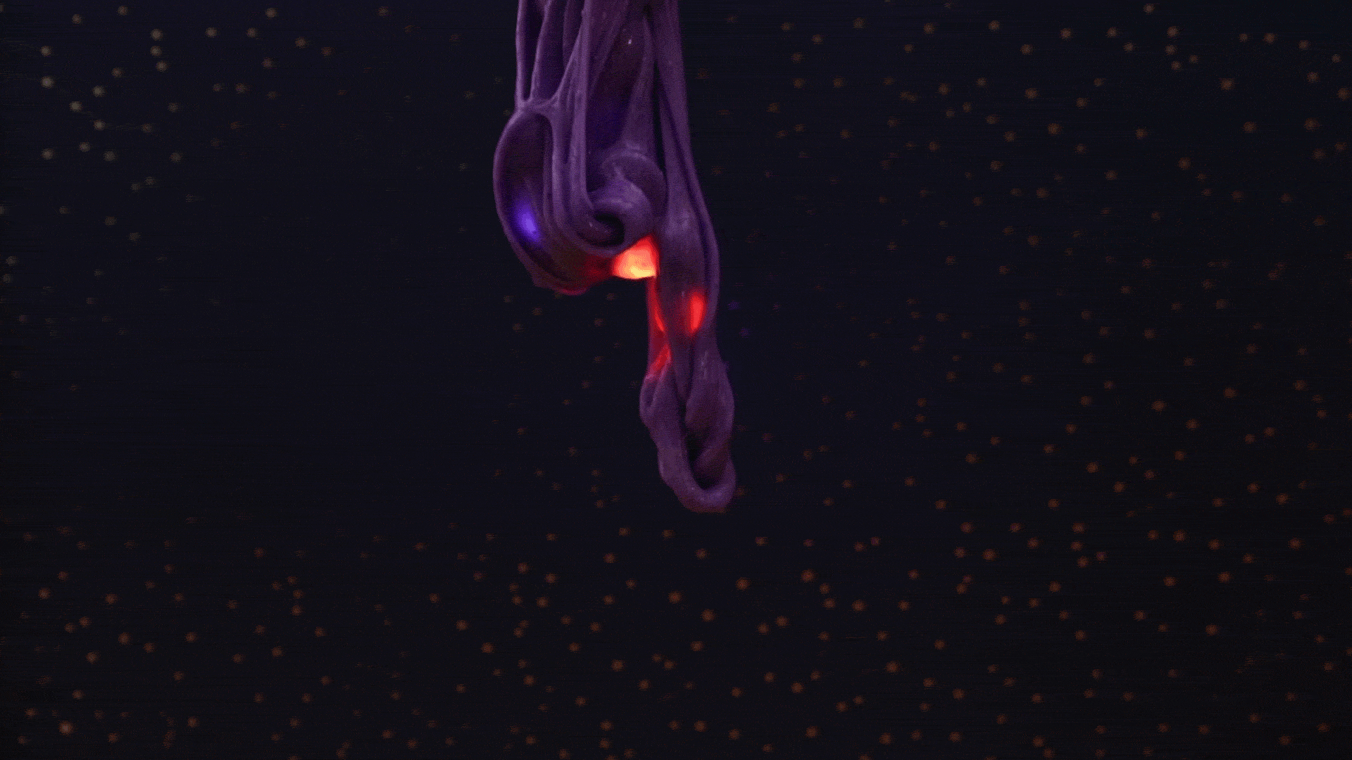 Gif Loop Wallpapers - Wallpaper Cave