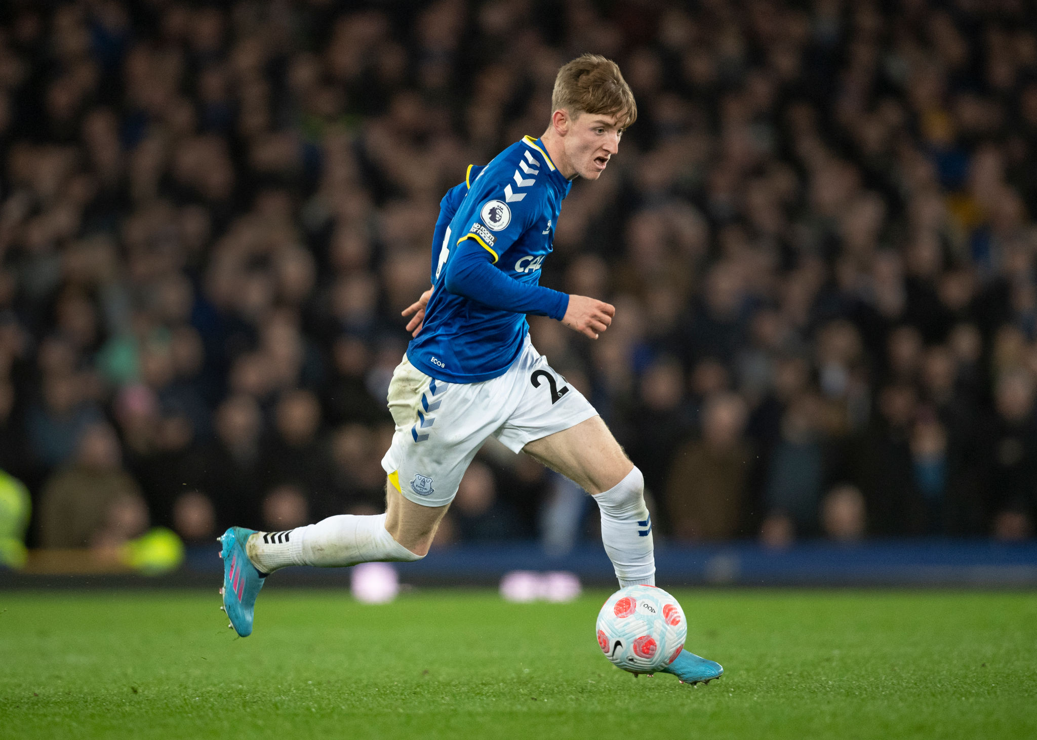 Anthony Gordon Wallpapers - Wallpaper Cave