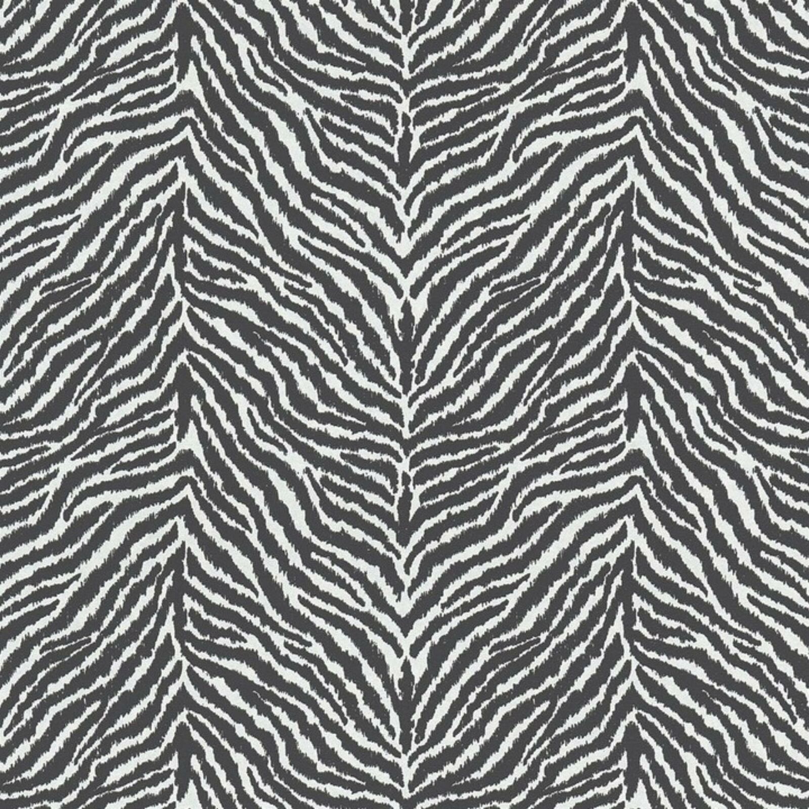 Zebra Skin Wallpapers - Wallpaper Cave
