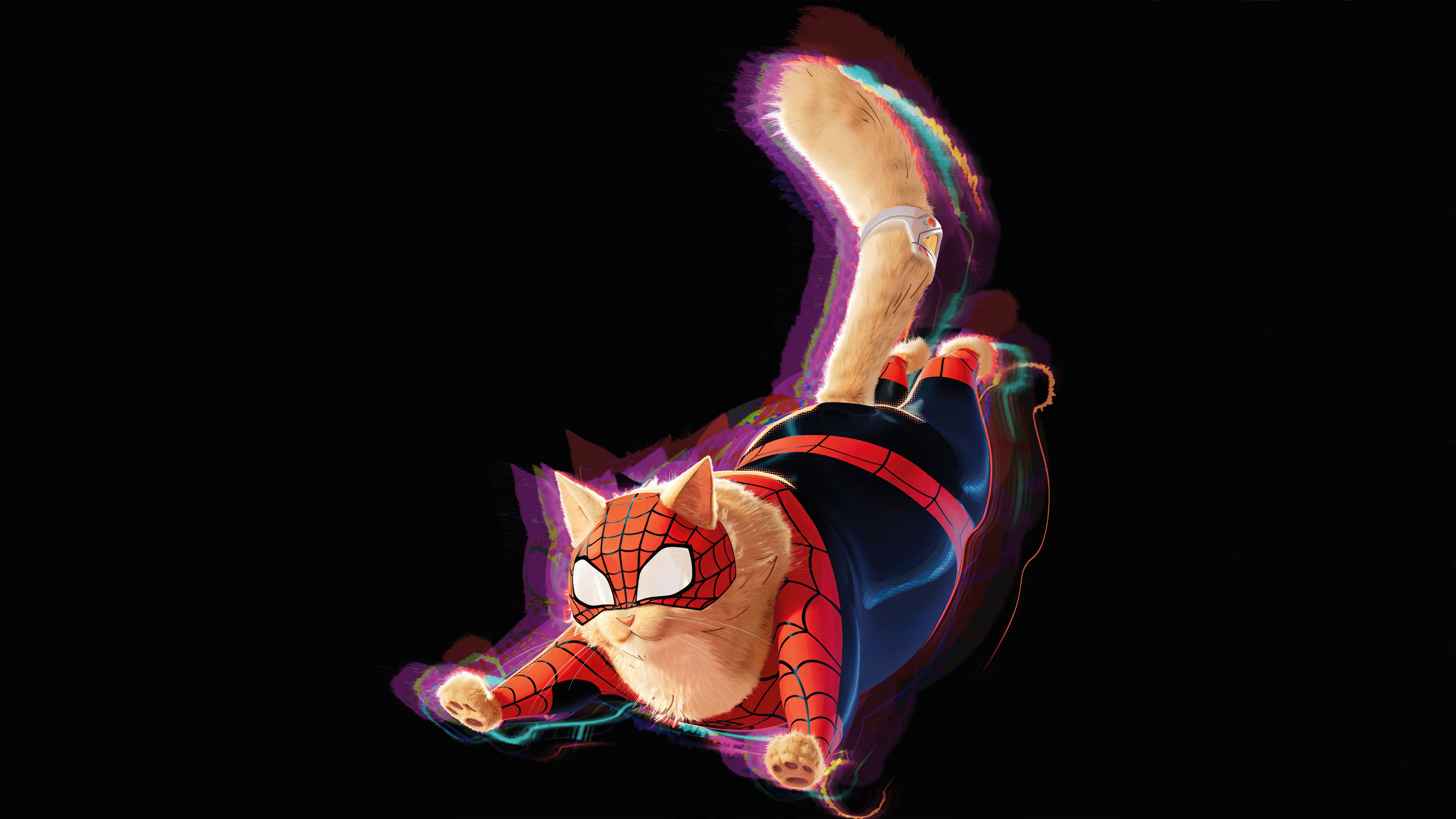Spider-Cat Wallpapers - Wallpaper Cave