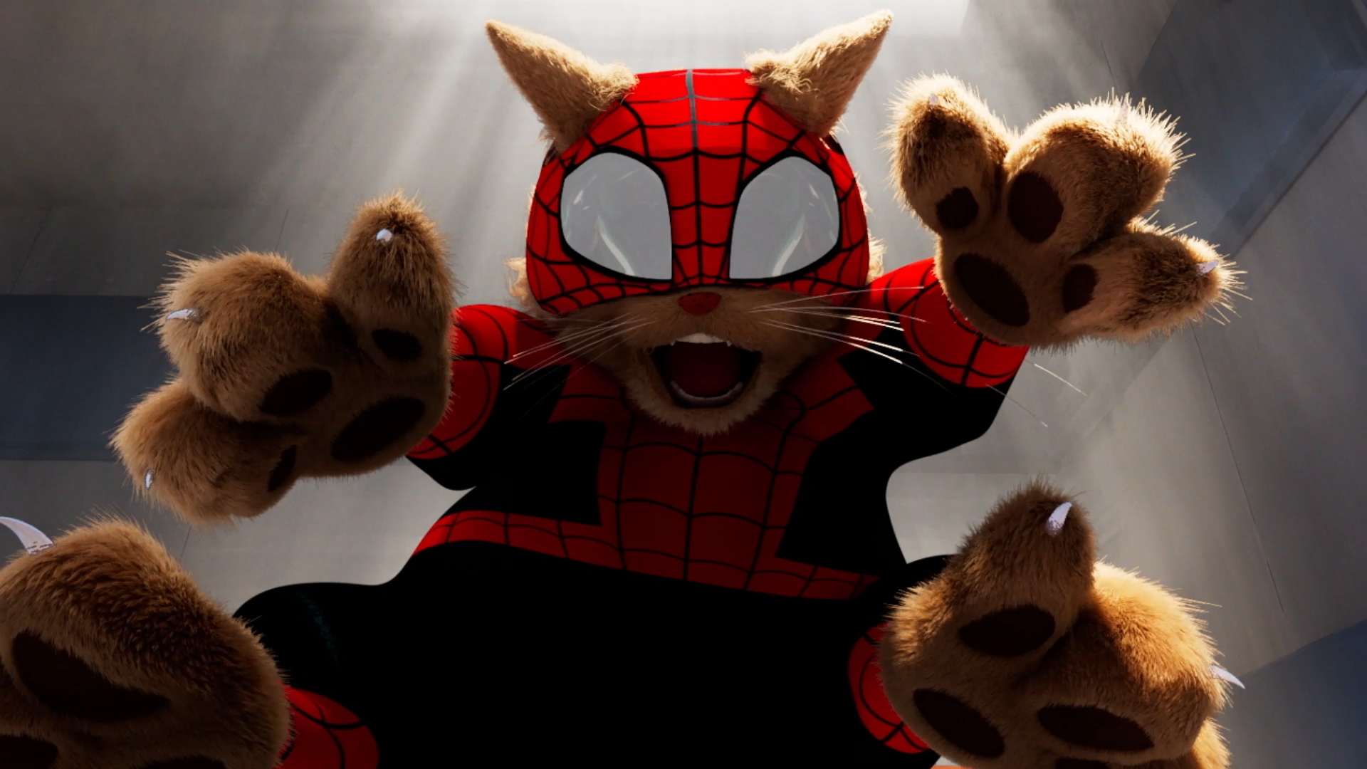 Spider-Cat Wallpapers - Wallpaper Cave